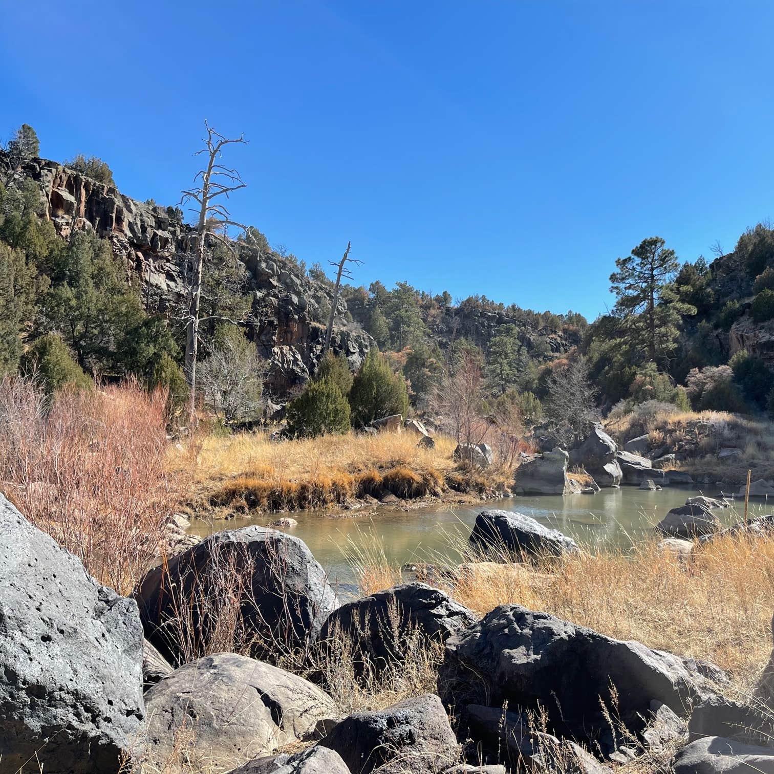 Vita Bonita Ranch Camping | The Dyrt