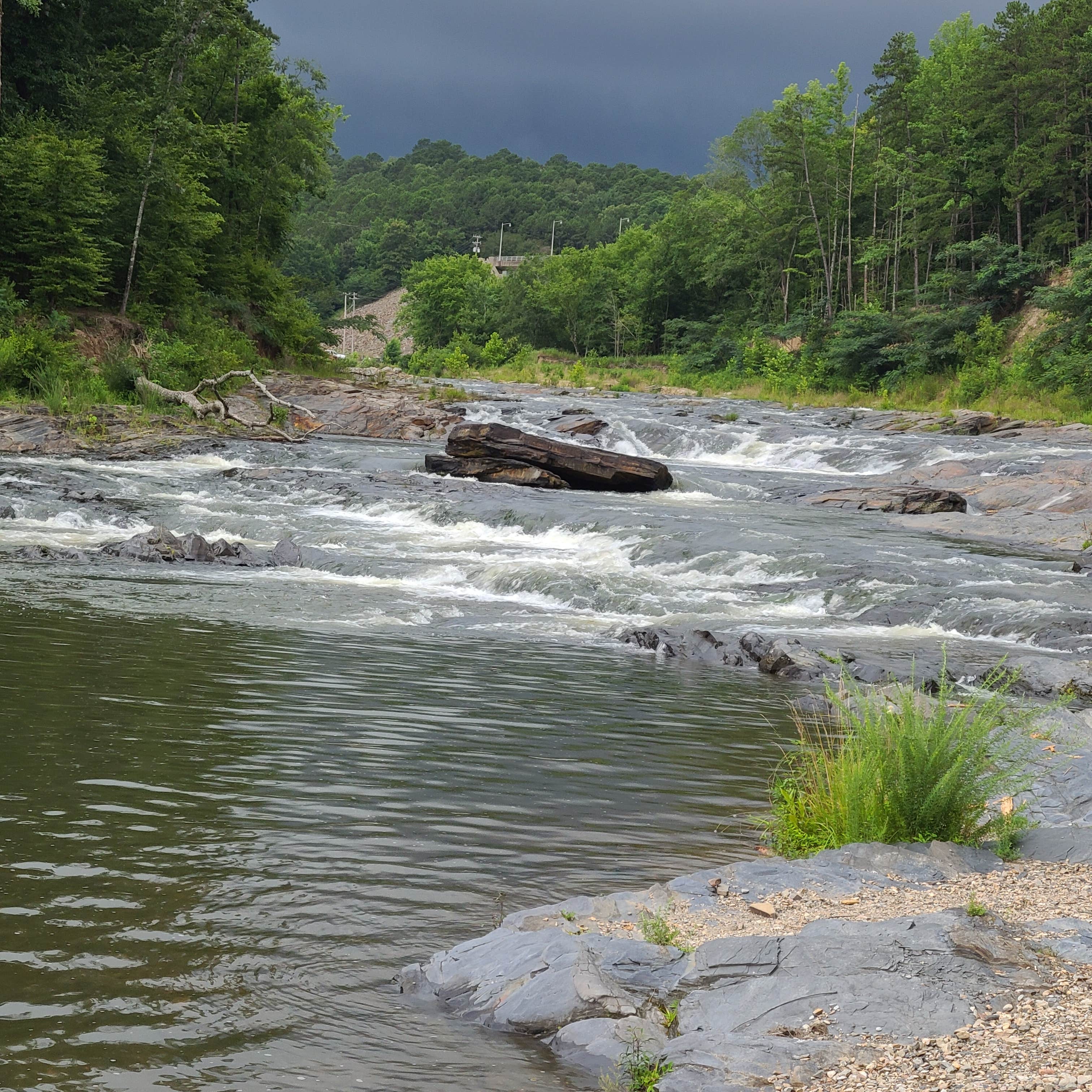 Armadillo Circle — Beavers Bend State Park Camping | Broken Bow, Oklahoma