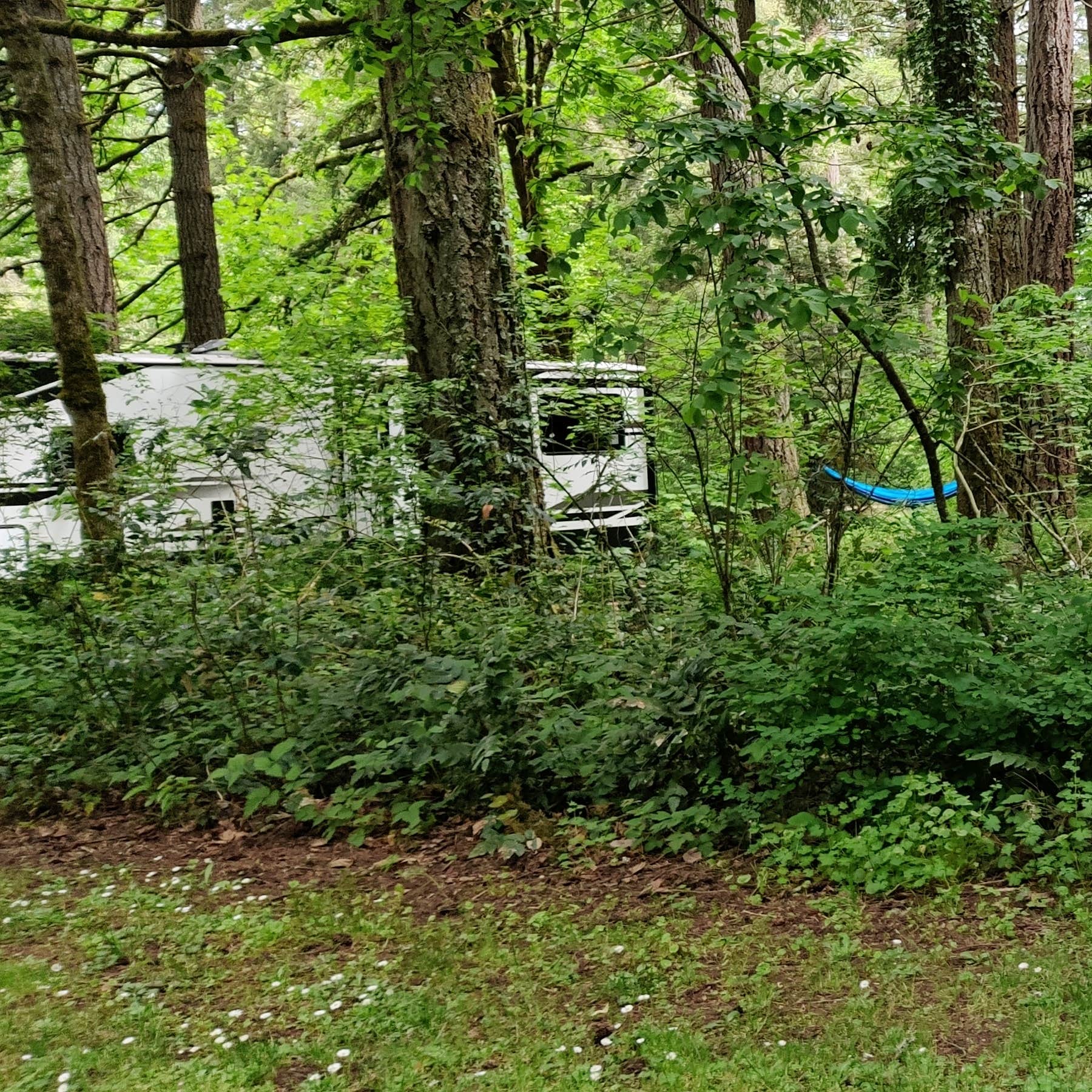 Barton County Park Campground | Eagle Creek, Oregon