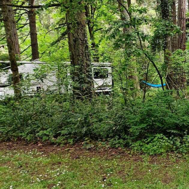 Barton County Park Campground | Eagle Creek, Oregon