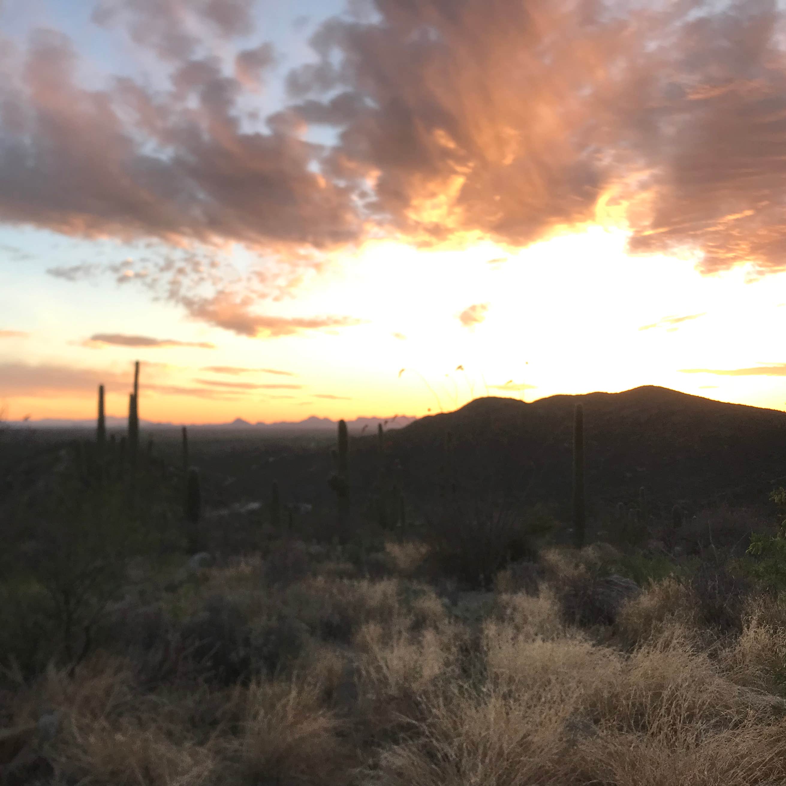 Redington Pass - Dispersed Camping | Saguaro National Park, Arizona