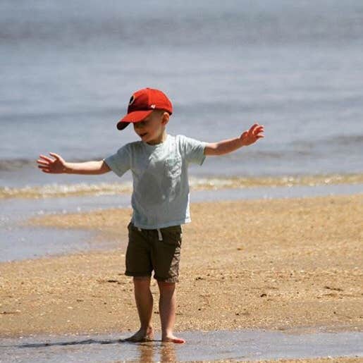 Calvert Cliffs State Park Youth Group Camping Camping | The Dyrt