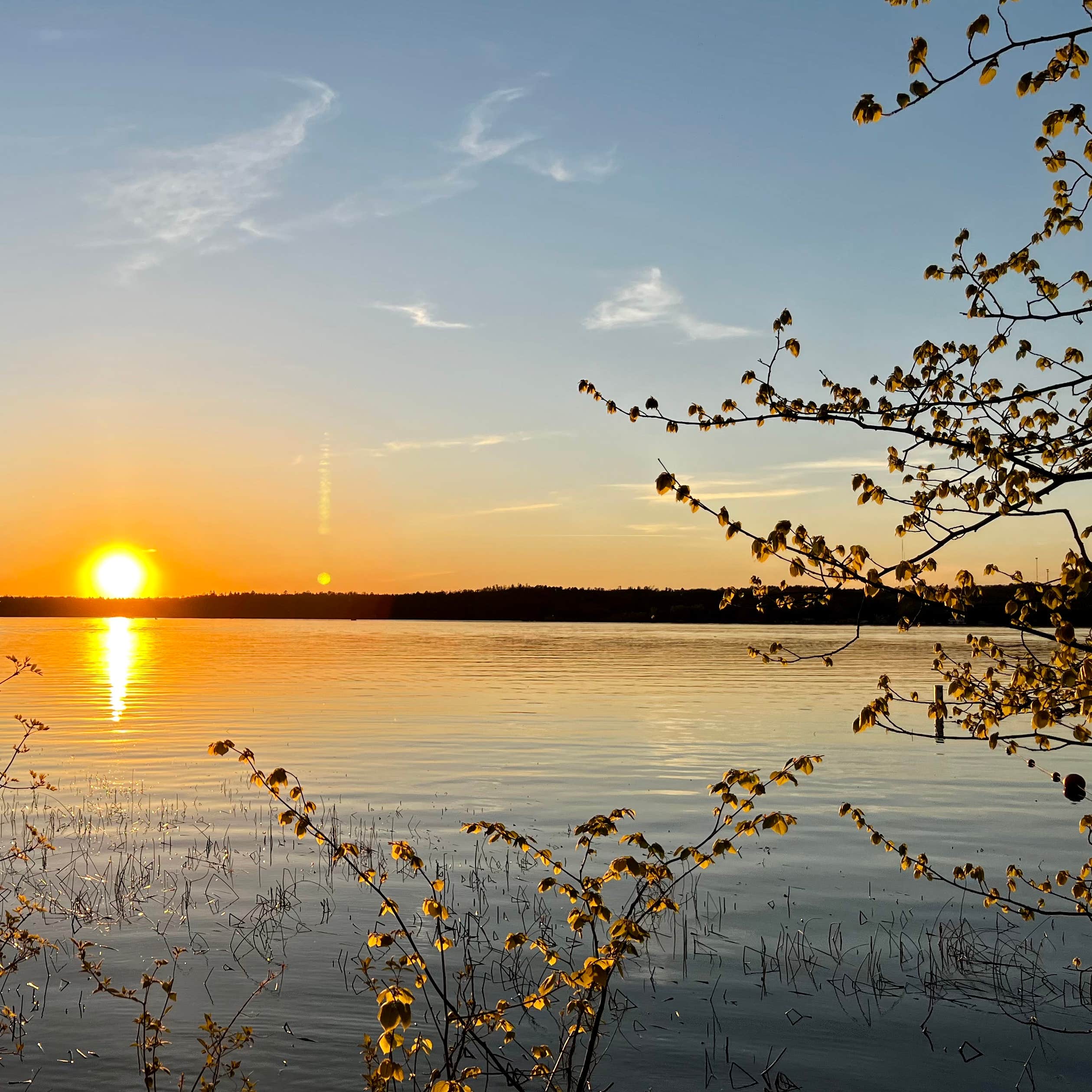 Gull Lake Recreation Area Camping | Baxter, Minnesota