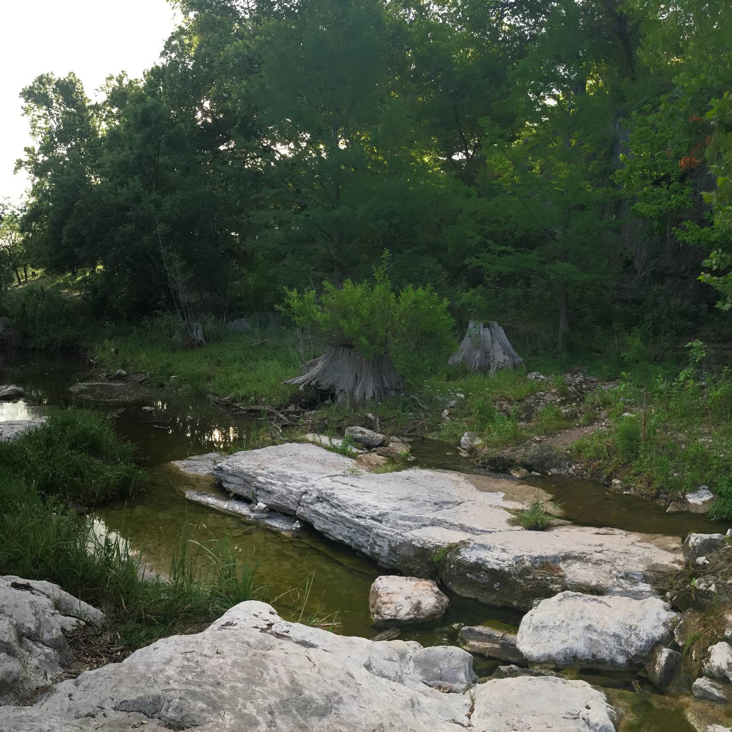 Krause Springs Camping | The Dyrt