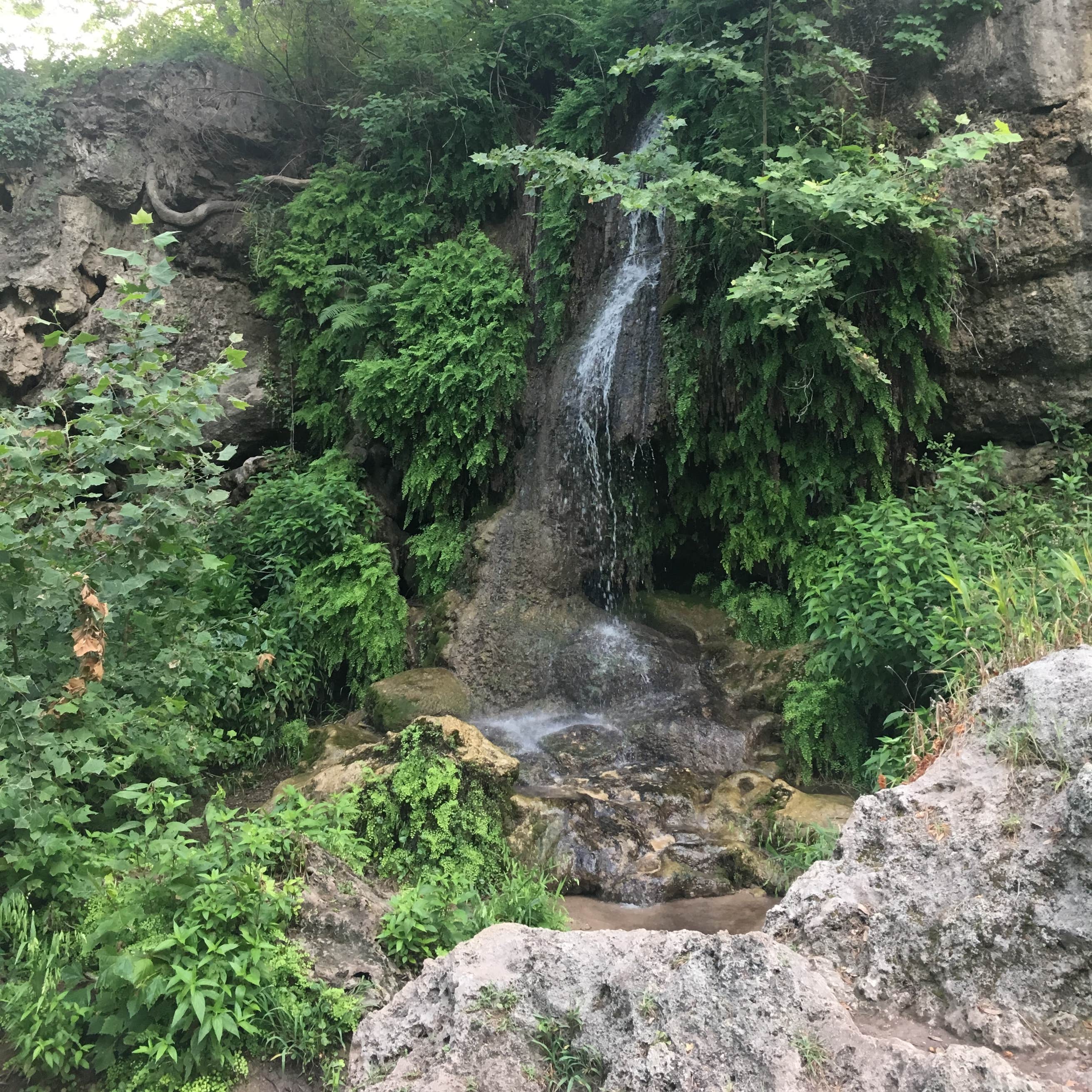 Krause Springs Camping | The Dyrt