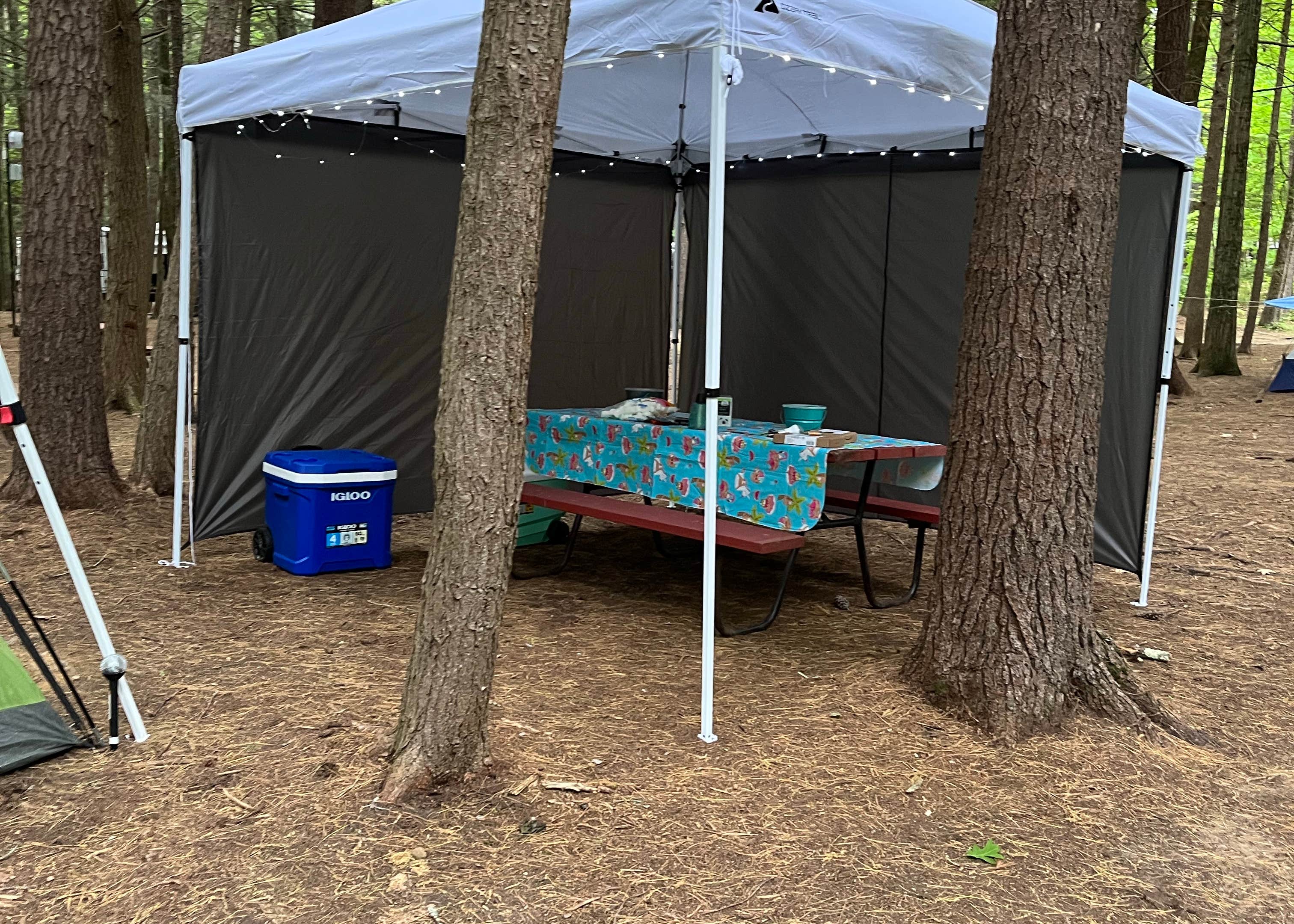 Crown Point Camping Area Camping | The Dyrt