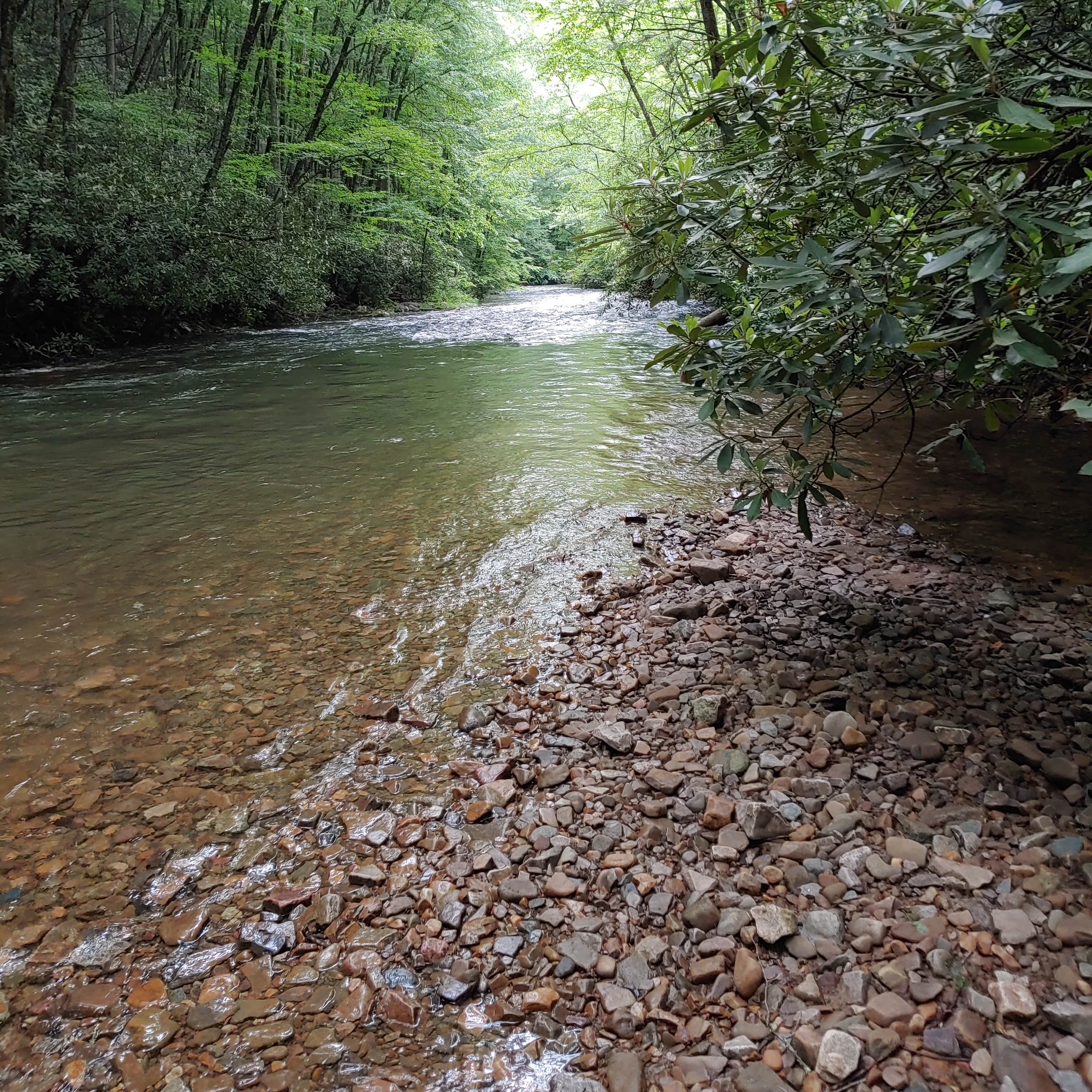 Backbone Rock Recreation Area Pavilions and Campground | Damascus, Virginia