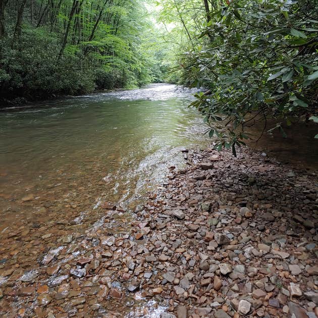 Backbone Rock Recreation Area Pavilions and Campground | Damascus, Virginia