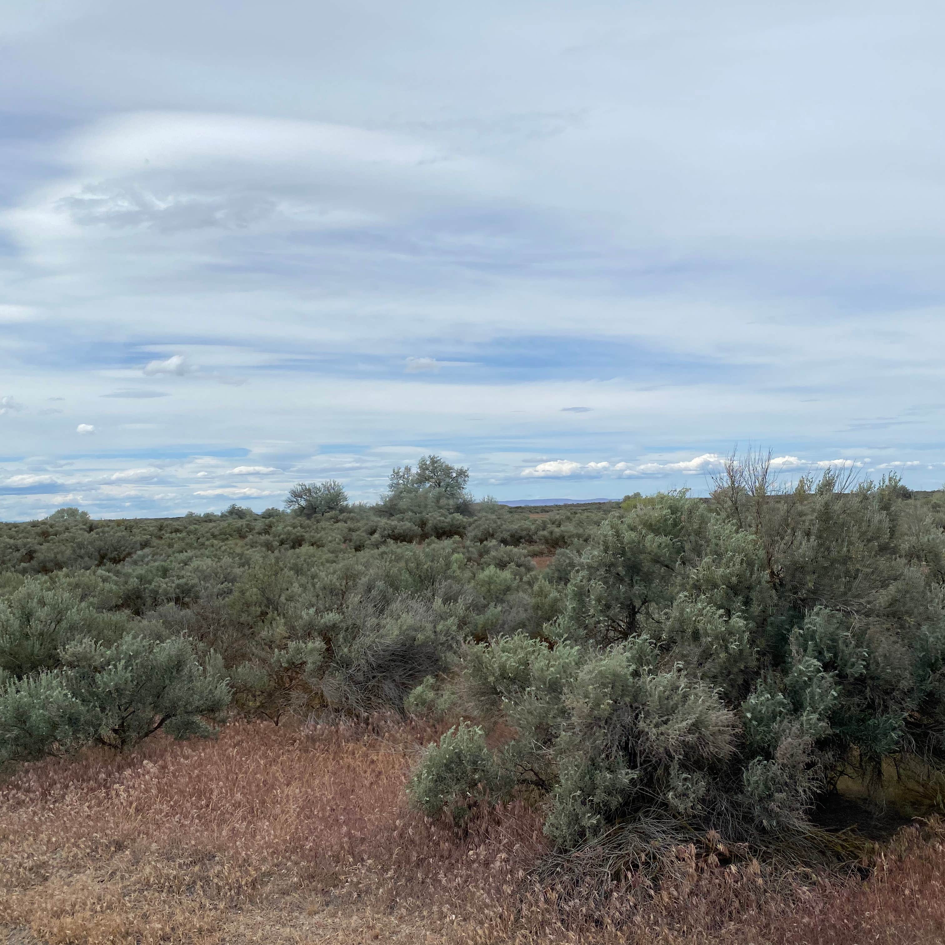 Potholes State Park Camping | The Dyrt