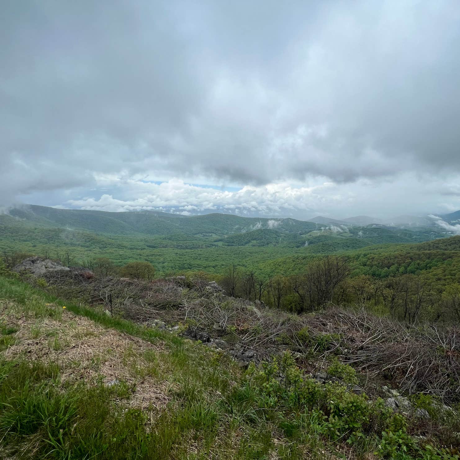 Mathews Arm Campground — Shenandoah National Park | Luray, VA