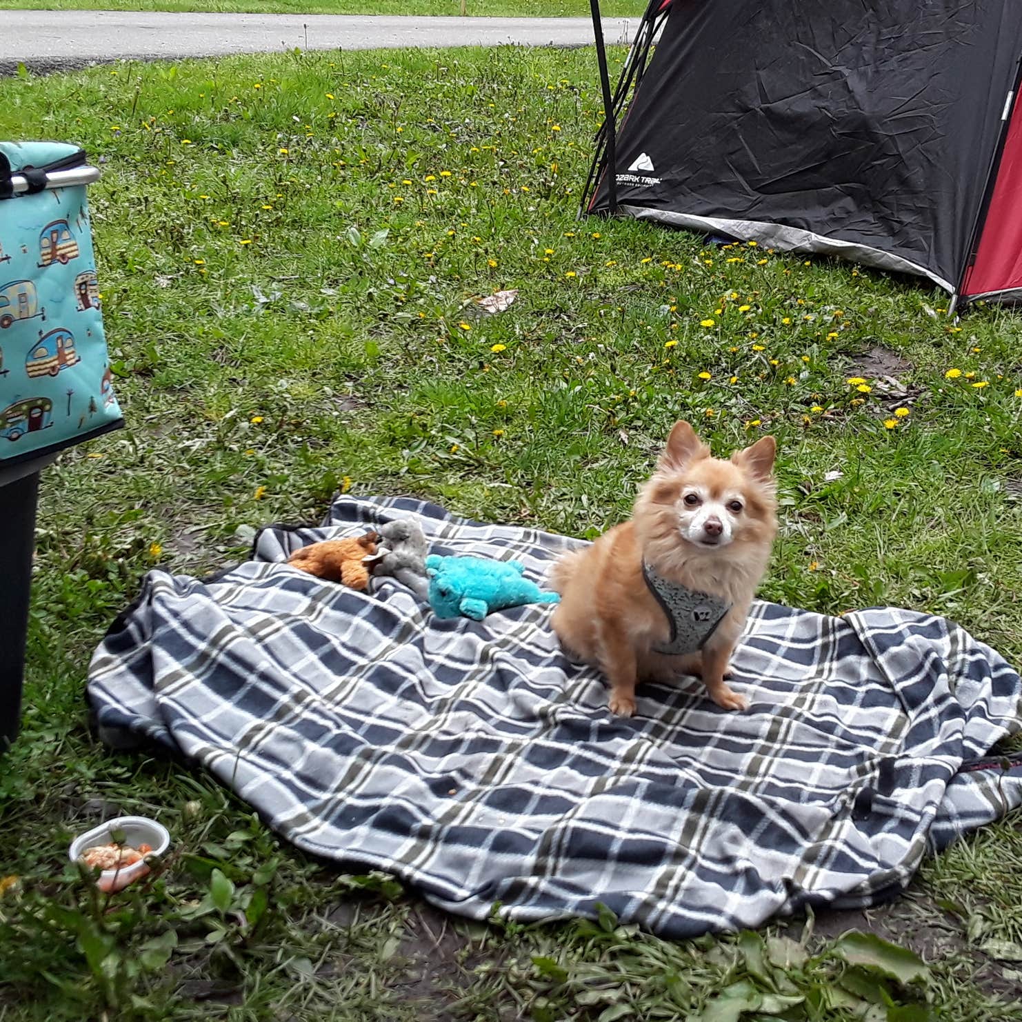 Kiser Lake State Park Campground | Fletcher, Ohio