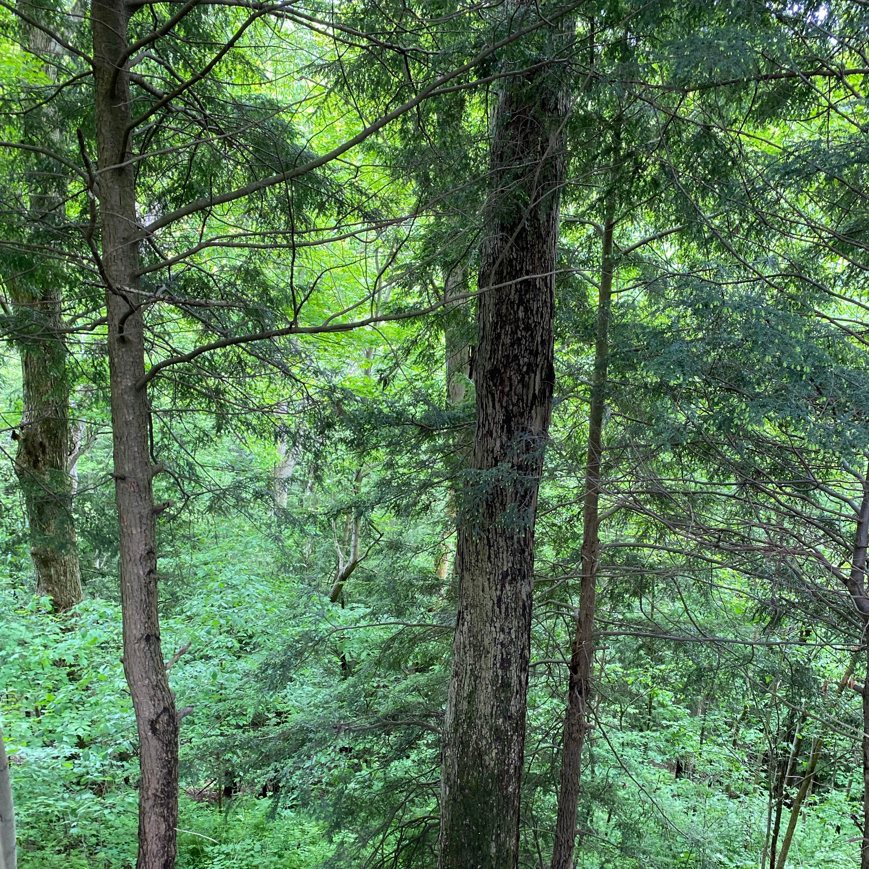 Breakneck Campground | Portersville, Pennsylvania