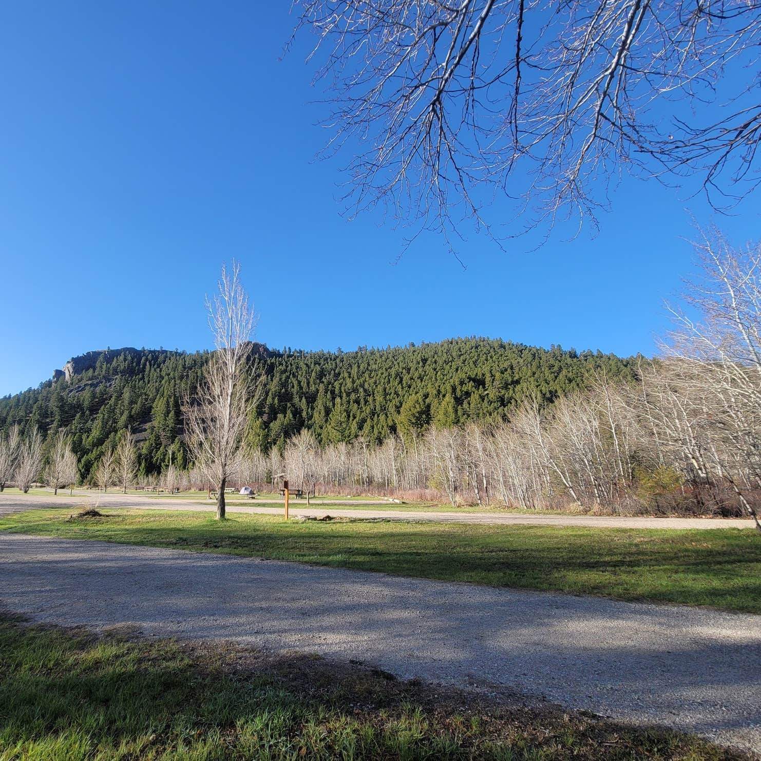 Divide Bridge Campground | Divide, Montana