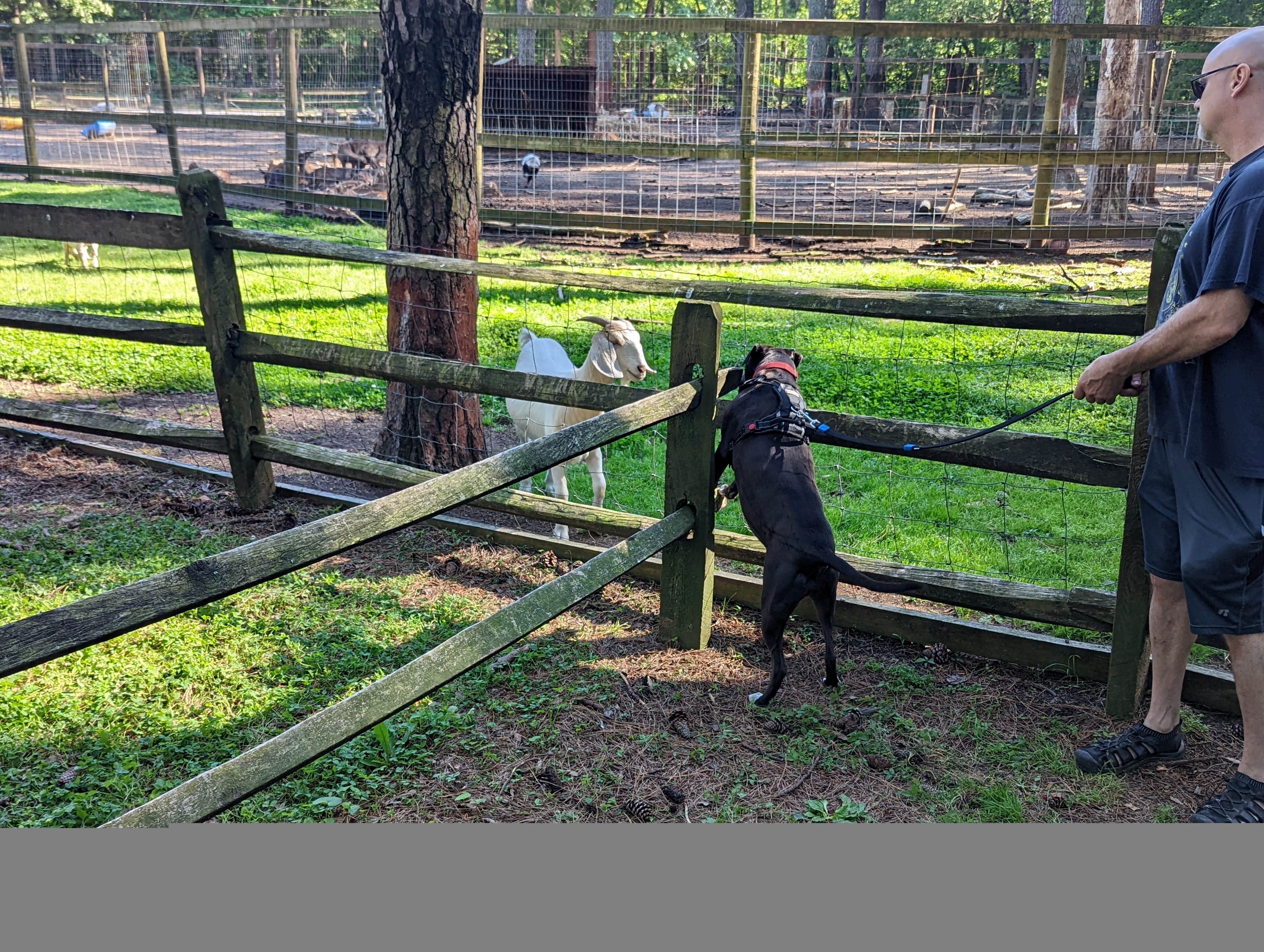 Holly Lake Campsites | Rehoboth Beach, DE