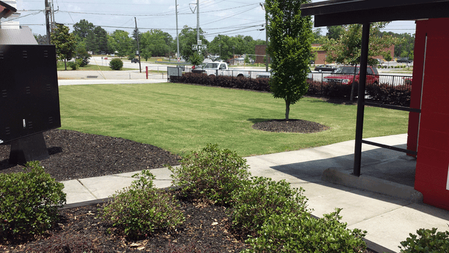 Team RV Park | Athens, GA