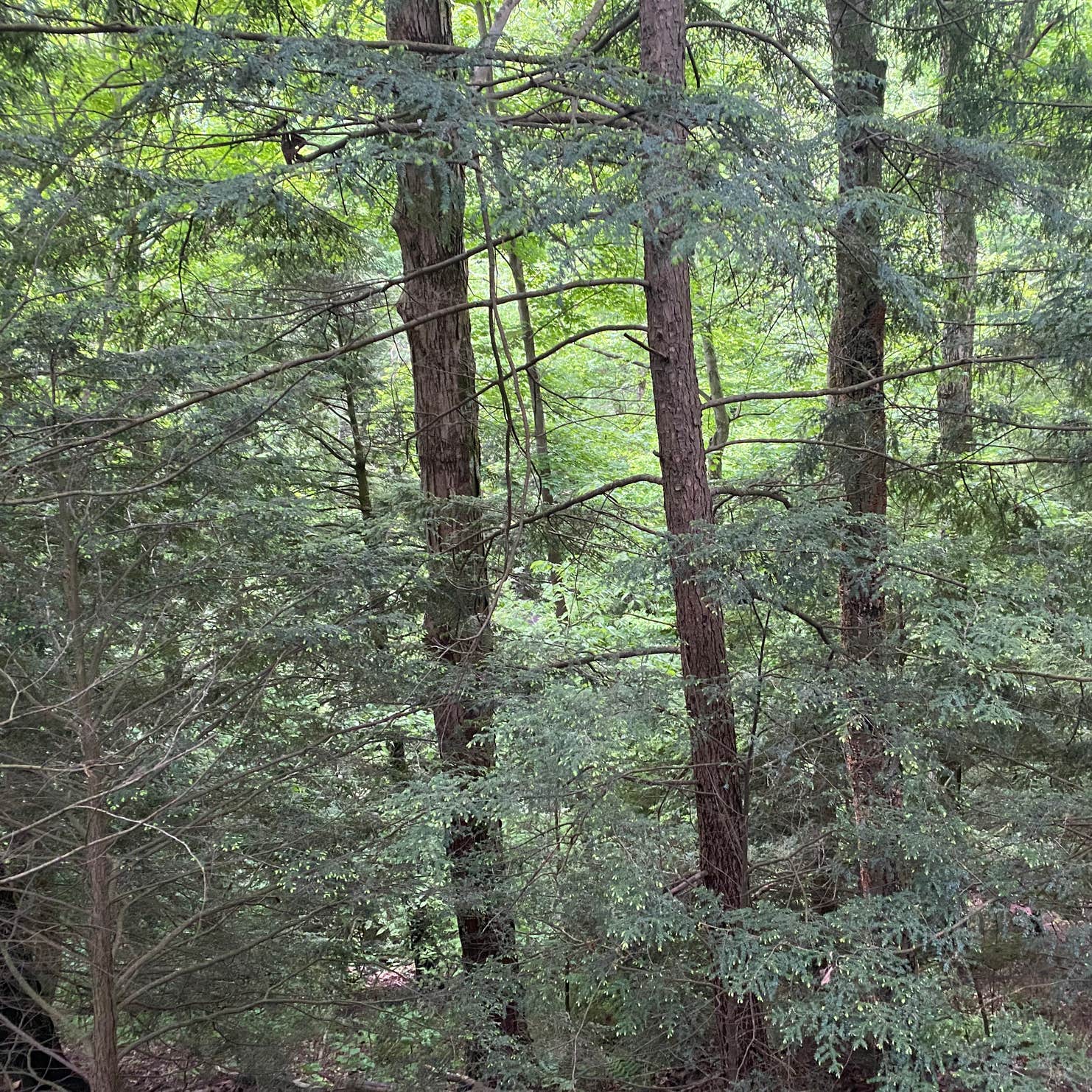 Breakneck Campground | Portersville, Pennsylvania