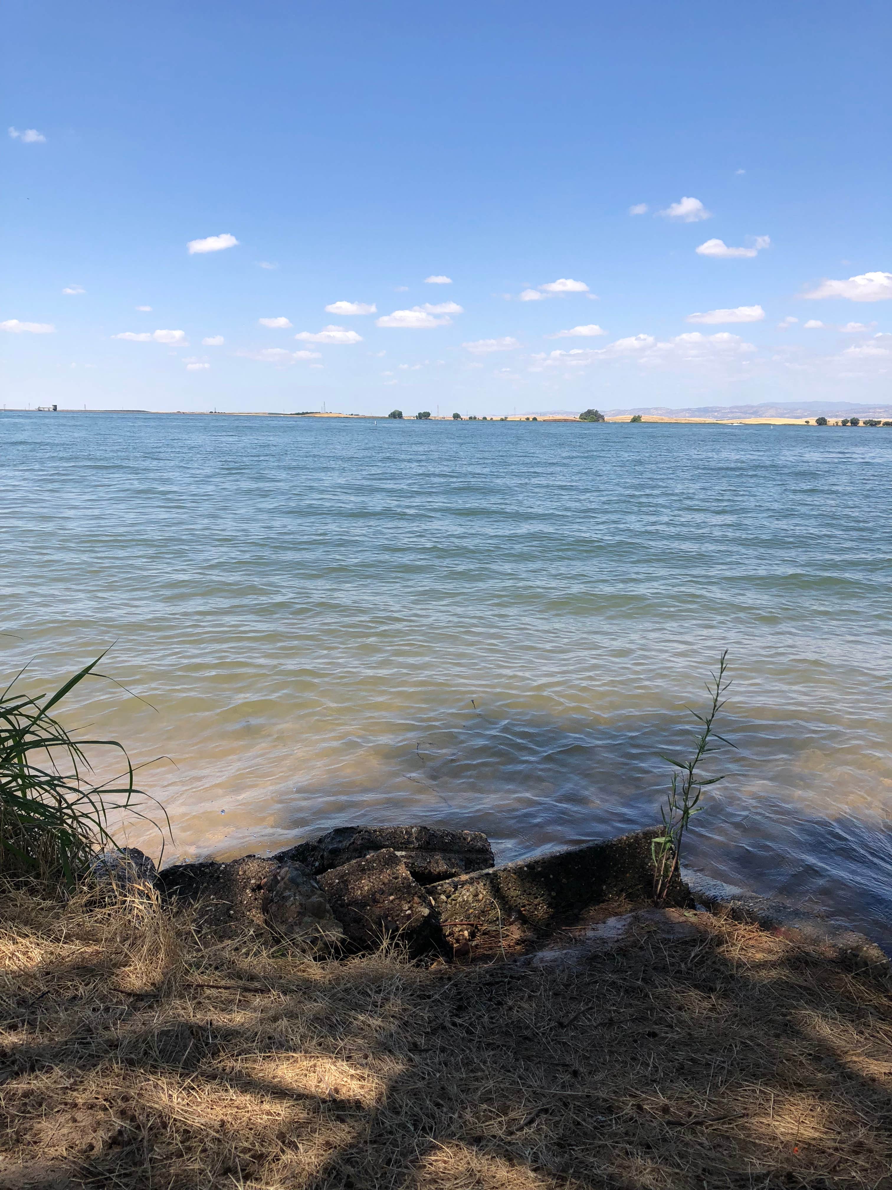 Woodward Reservoir Camping | Oakdale, CA