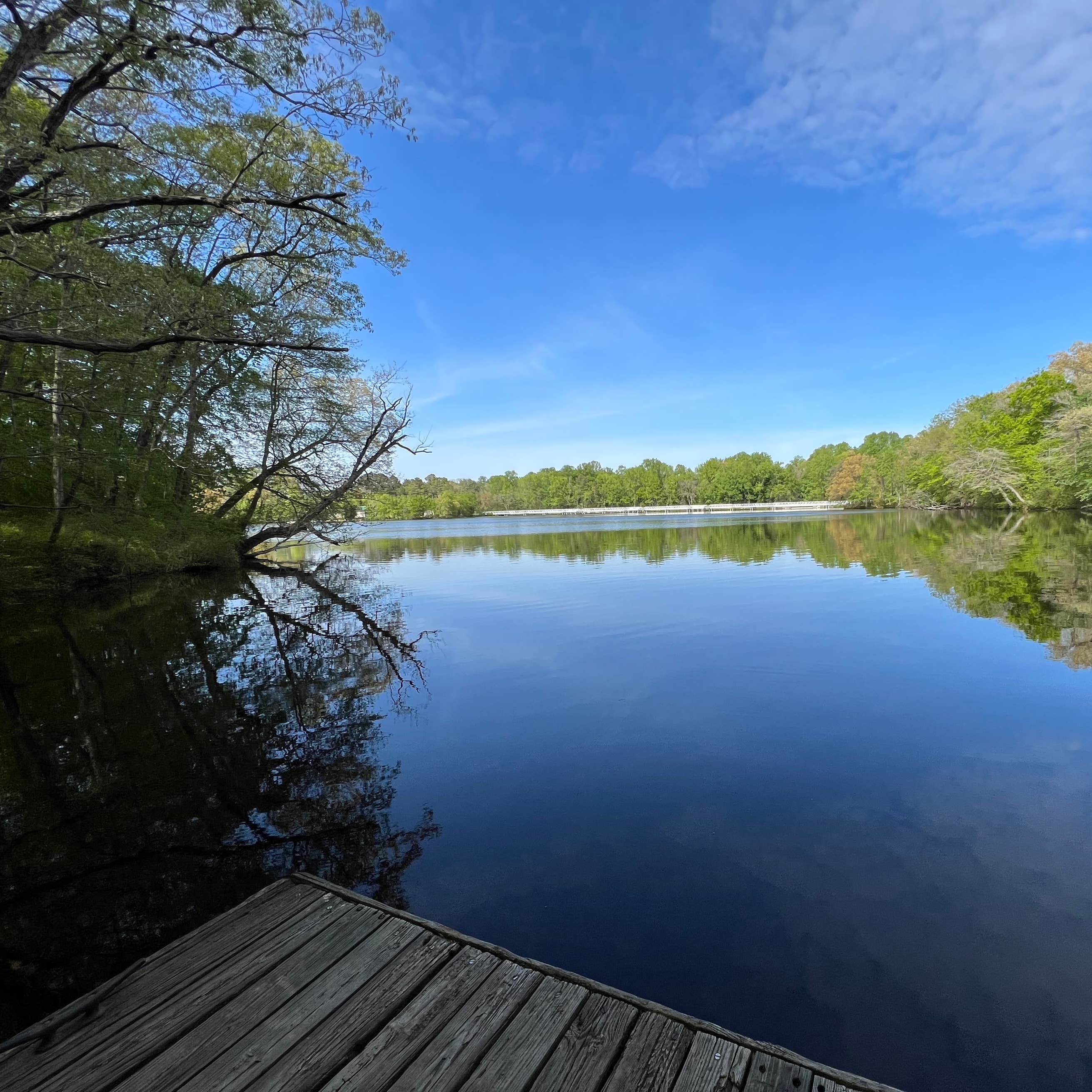 Killens Pond State Park Camping | The Dyrt
