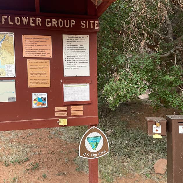 Moonflower Canyon Group Site Camping | Moab, Utah