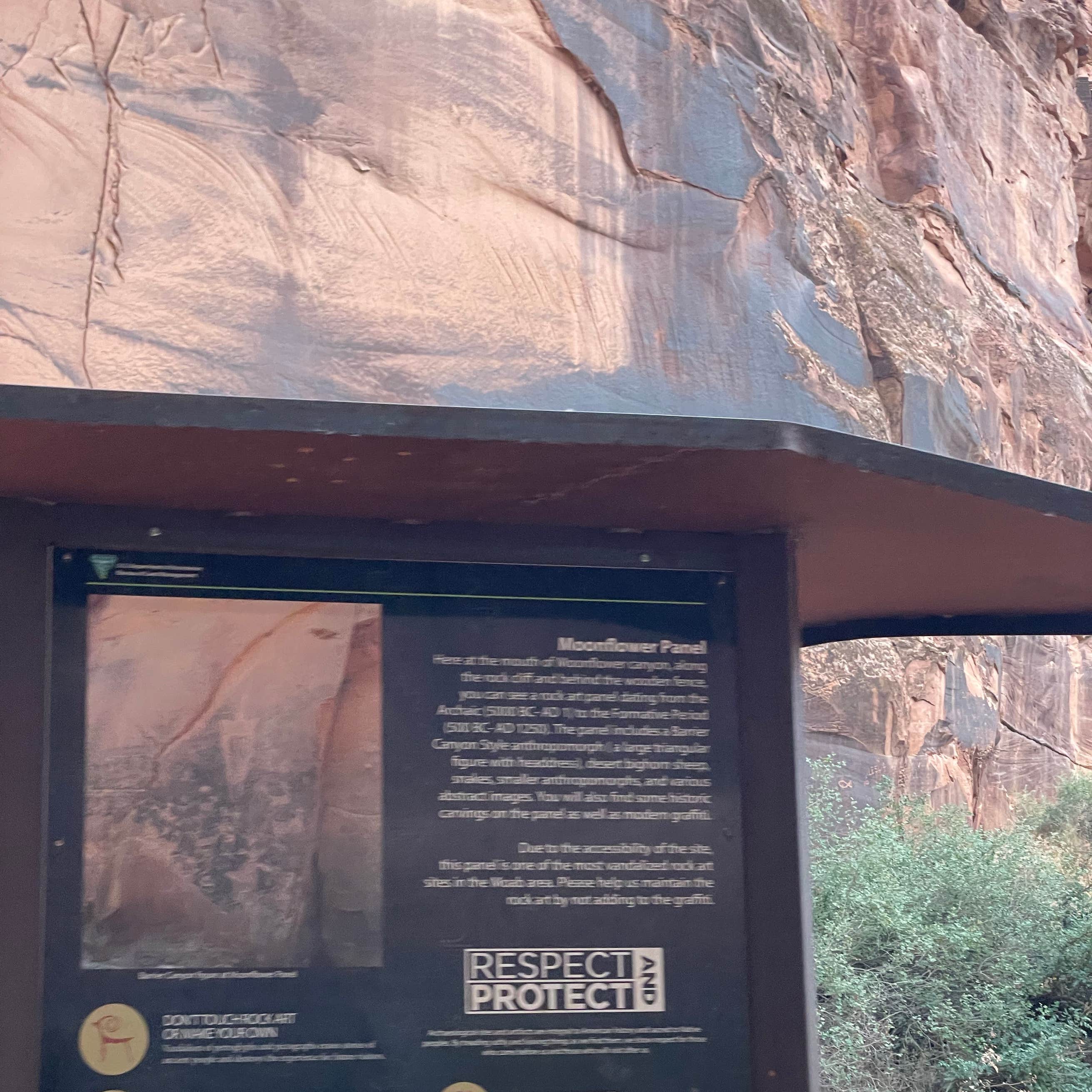 Moonflower Canyon Group Site Camping | Moab, Utah