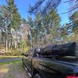 Massasoit State Park Campground | Lakeville, Massachusetts