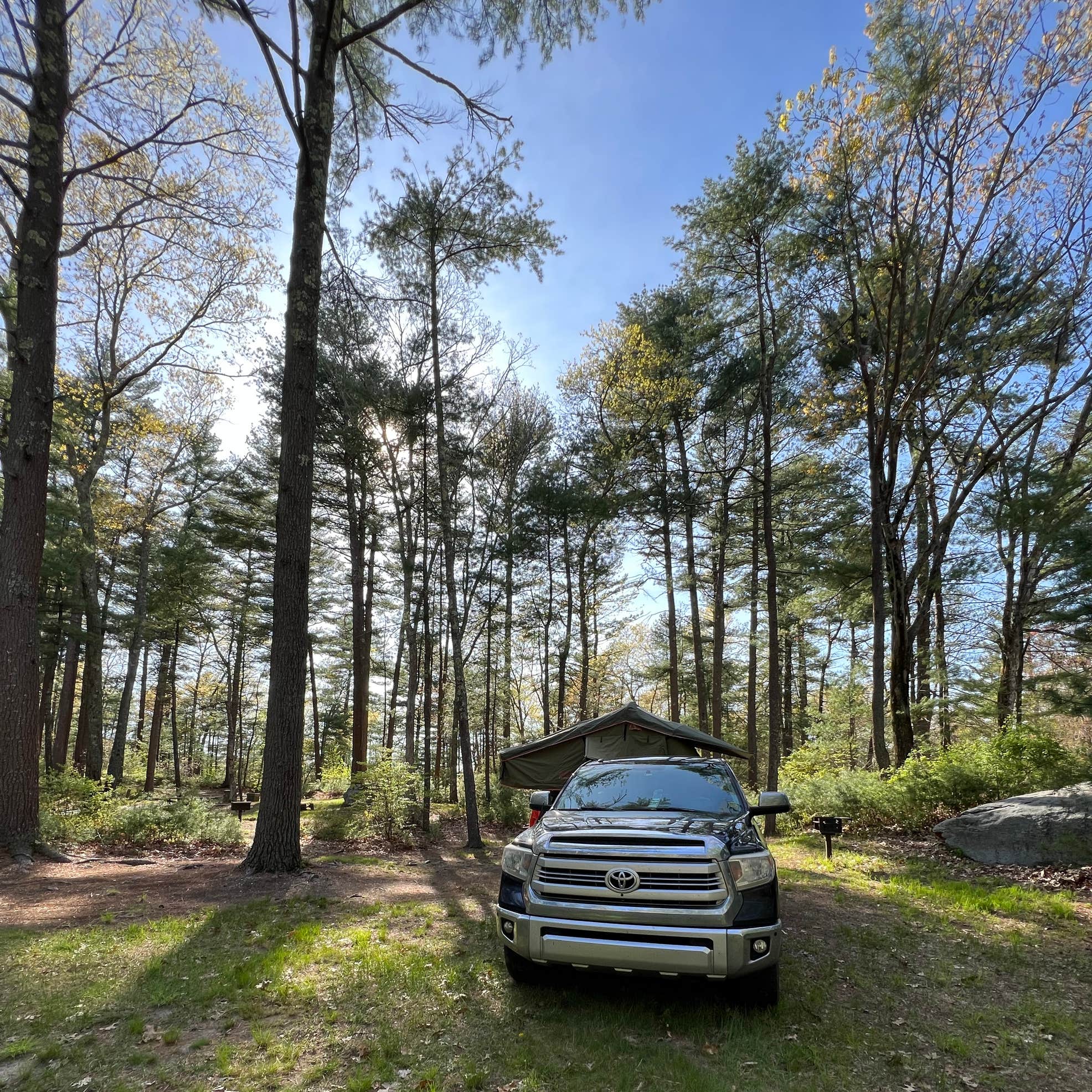Massasoit State Park Campground | Lakeville, Massachusetts