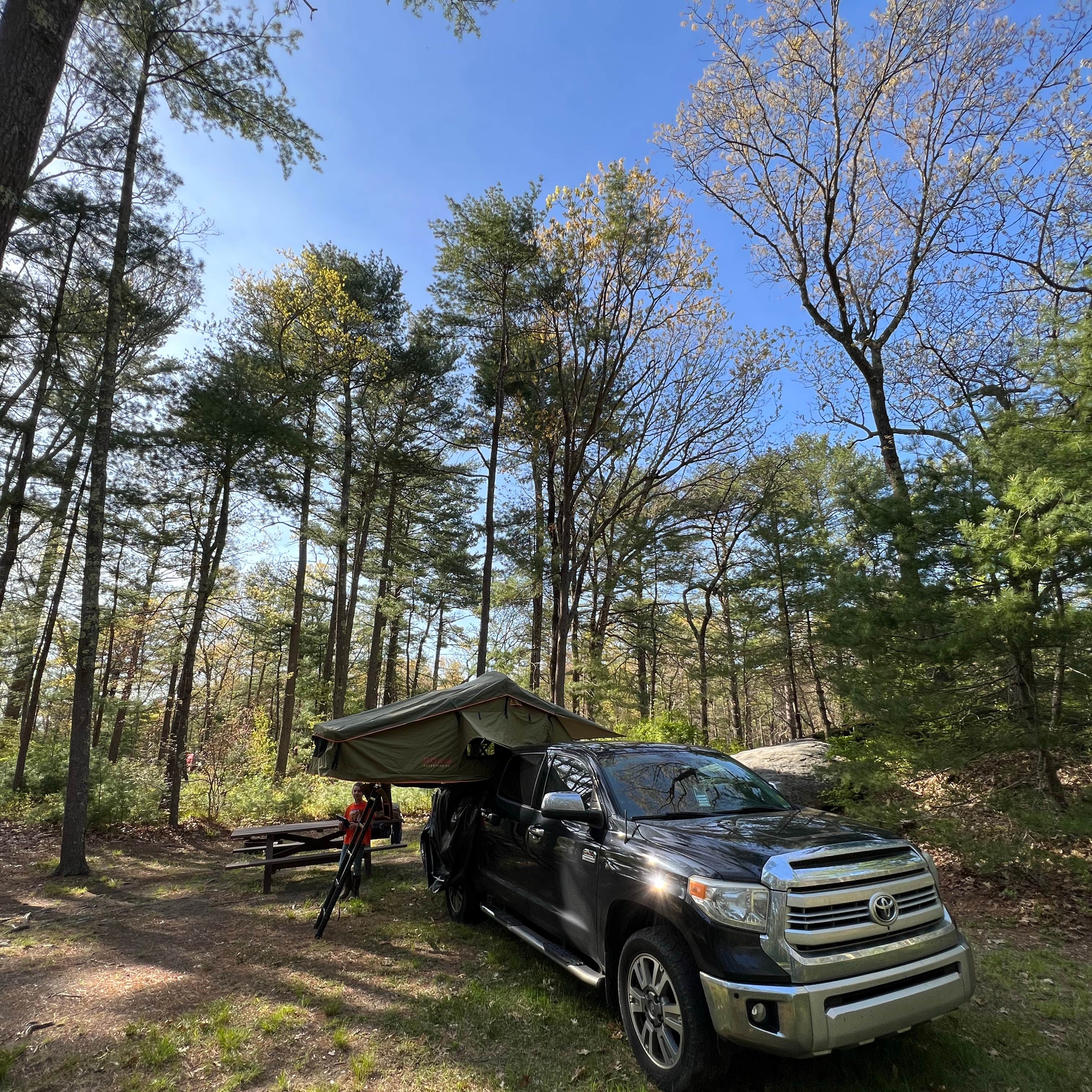 Massasoit State Park Campground | Lakeville, Massachusetts
