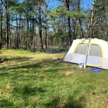 Michaux State Forest Camping | Shippensburg, Pennsylvania