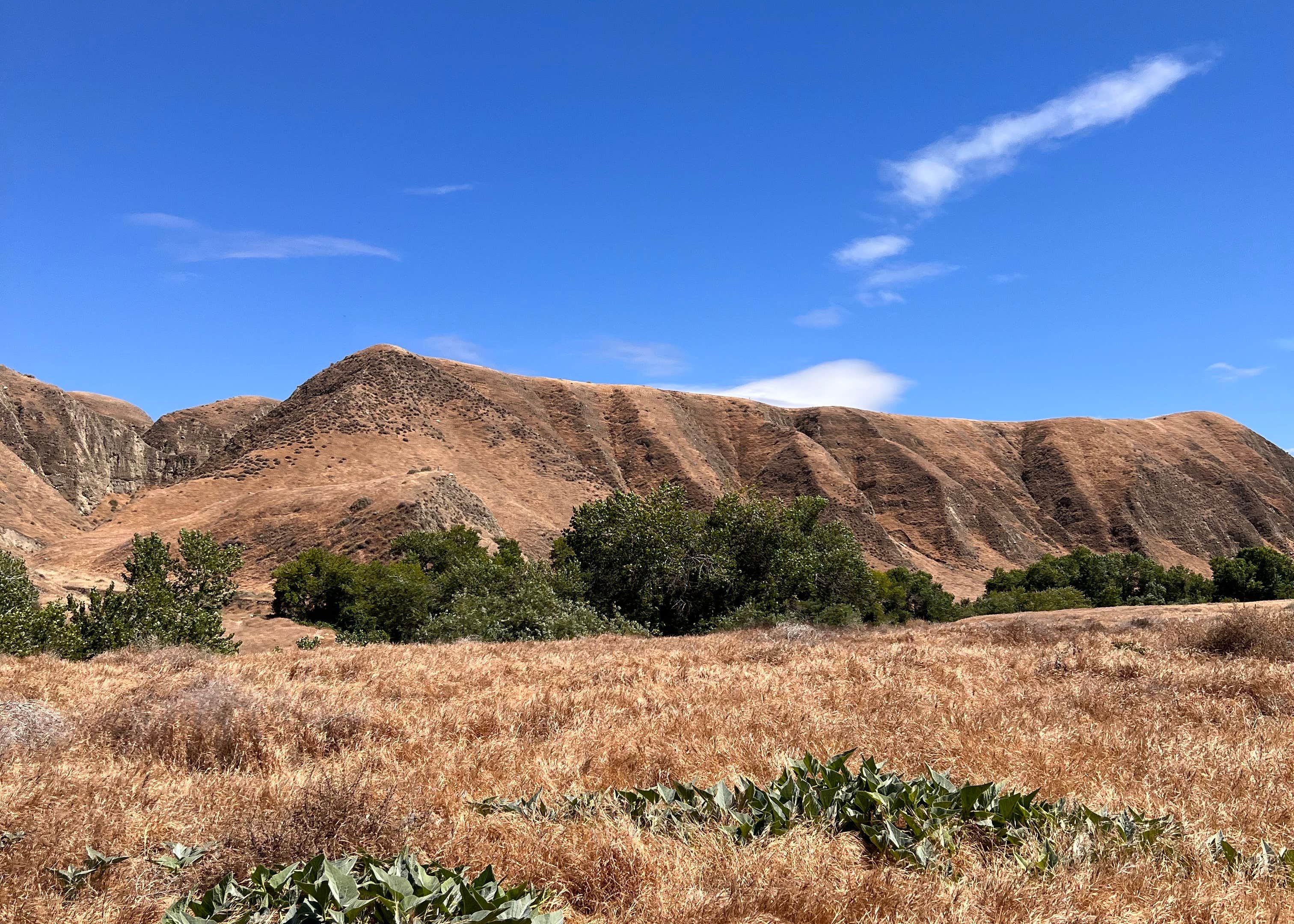 SAN EMIGDIO CAMPGROUND Camping | The Dyrt