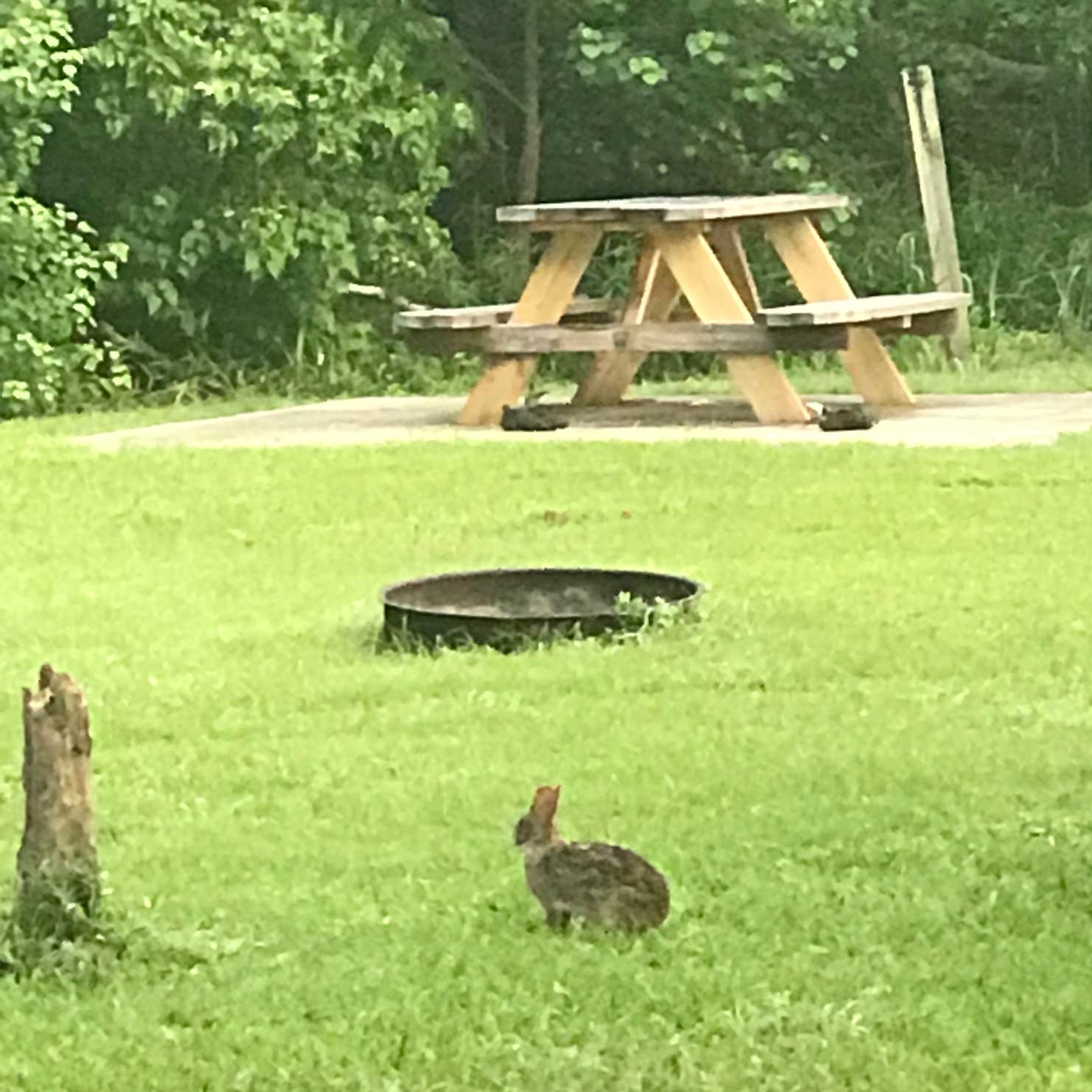 Bayou Segnette State Park Camping | The Dyrt