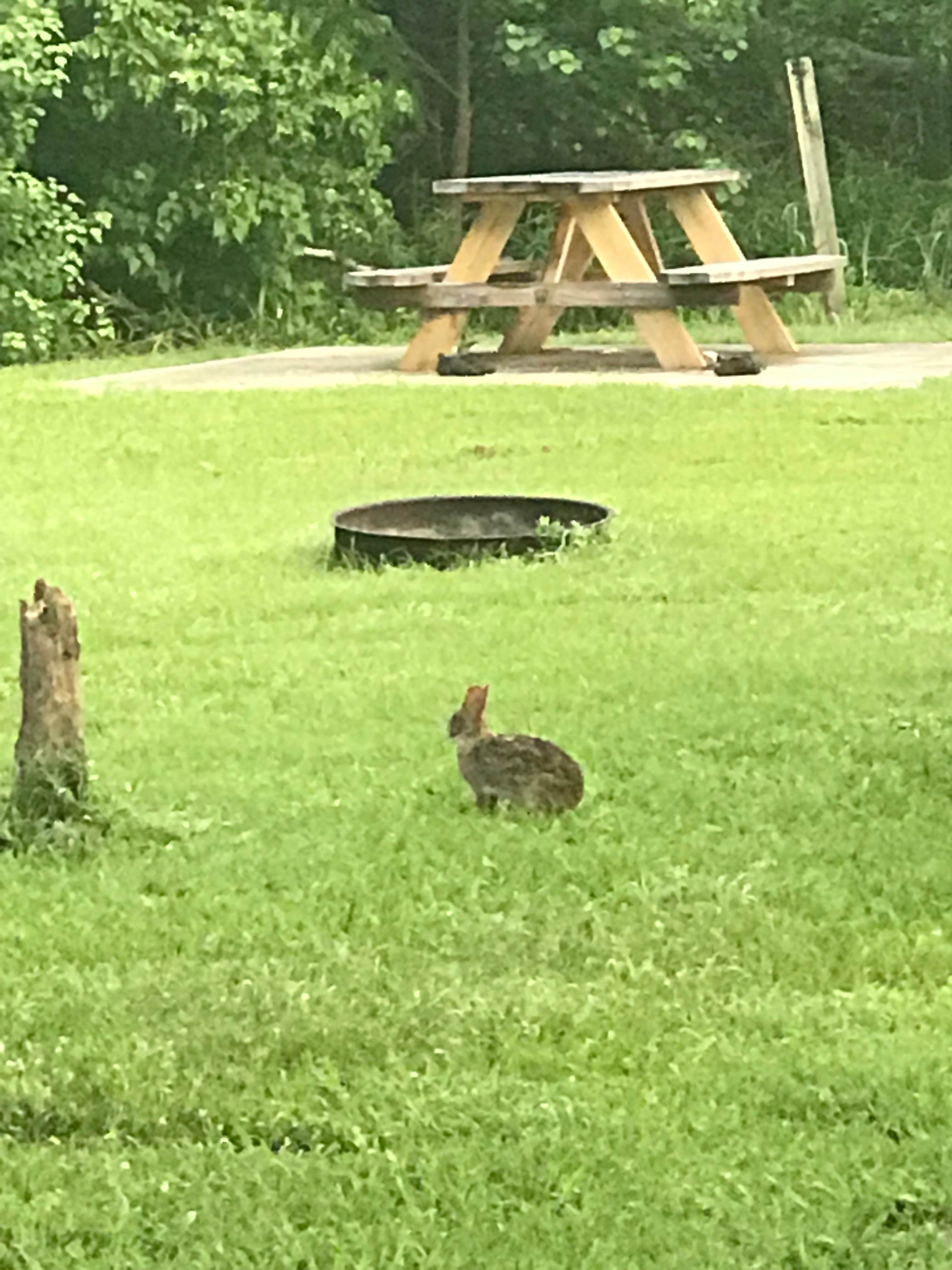 Bayou Segnette State Park Campground | Westwego, LA