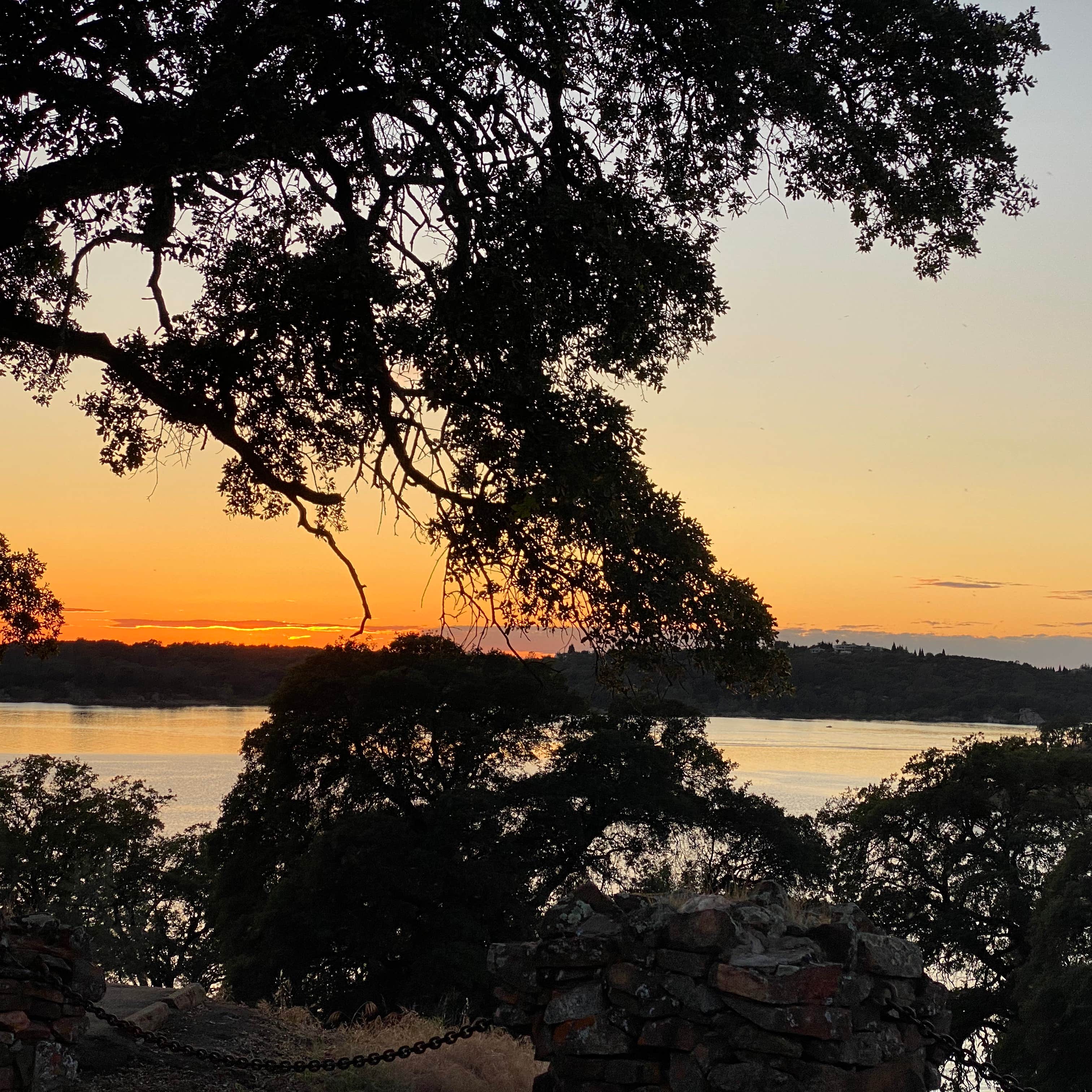 Peninsula - Folsom Lake State Rec Area Camping | The Dyrt