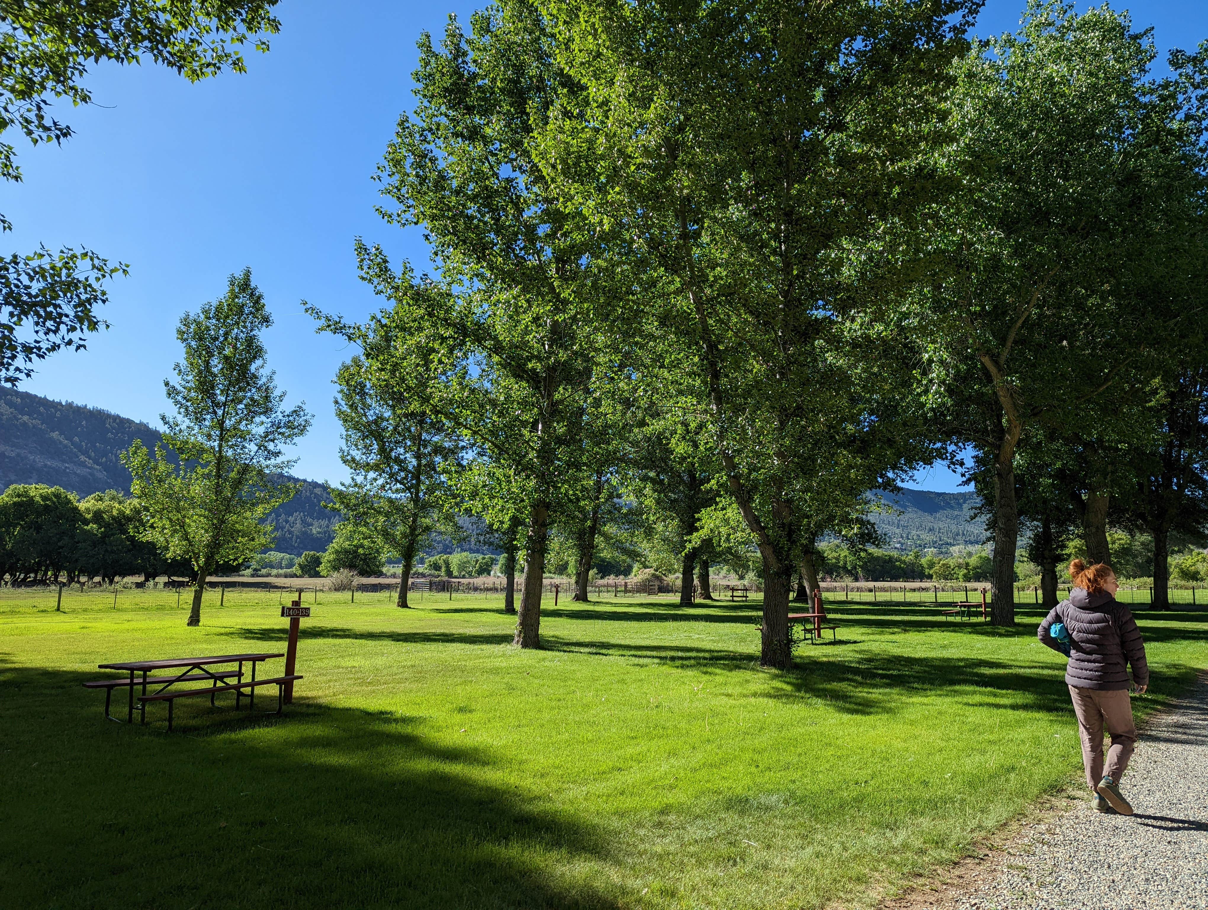 THE 10+ BEST Campgrounds near Durango, CO