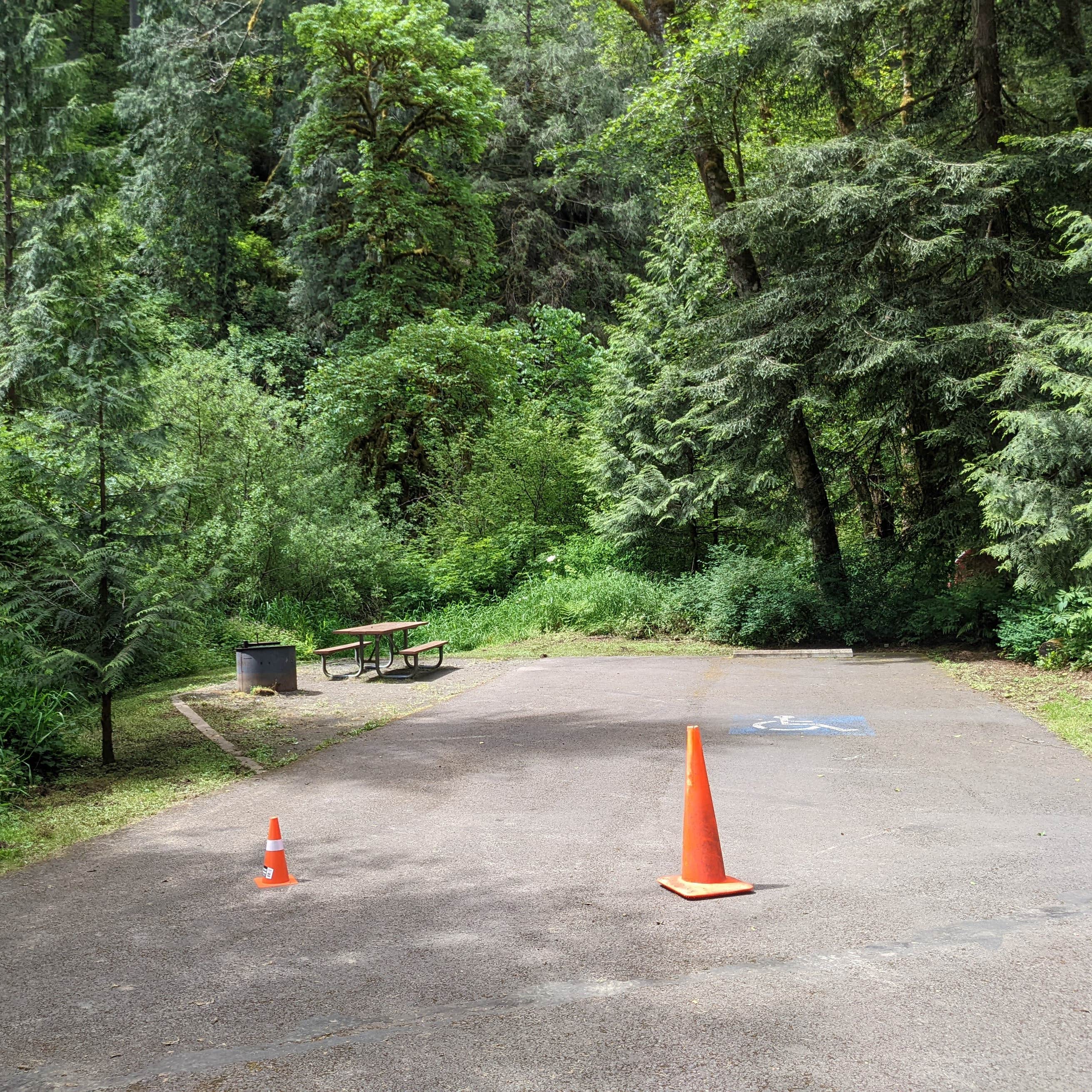 Archie Knowles Campground Camping | The Dyrt