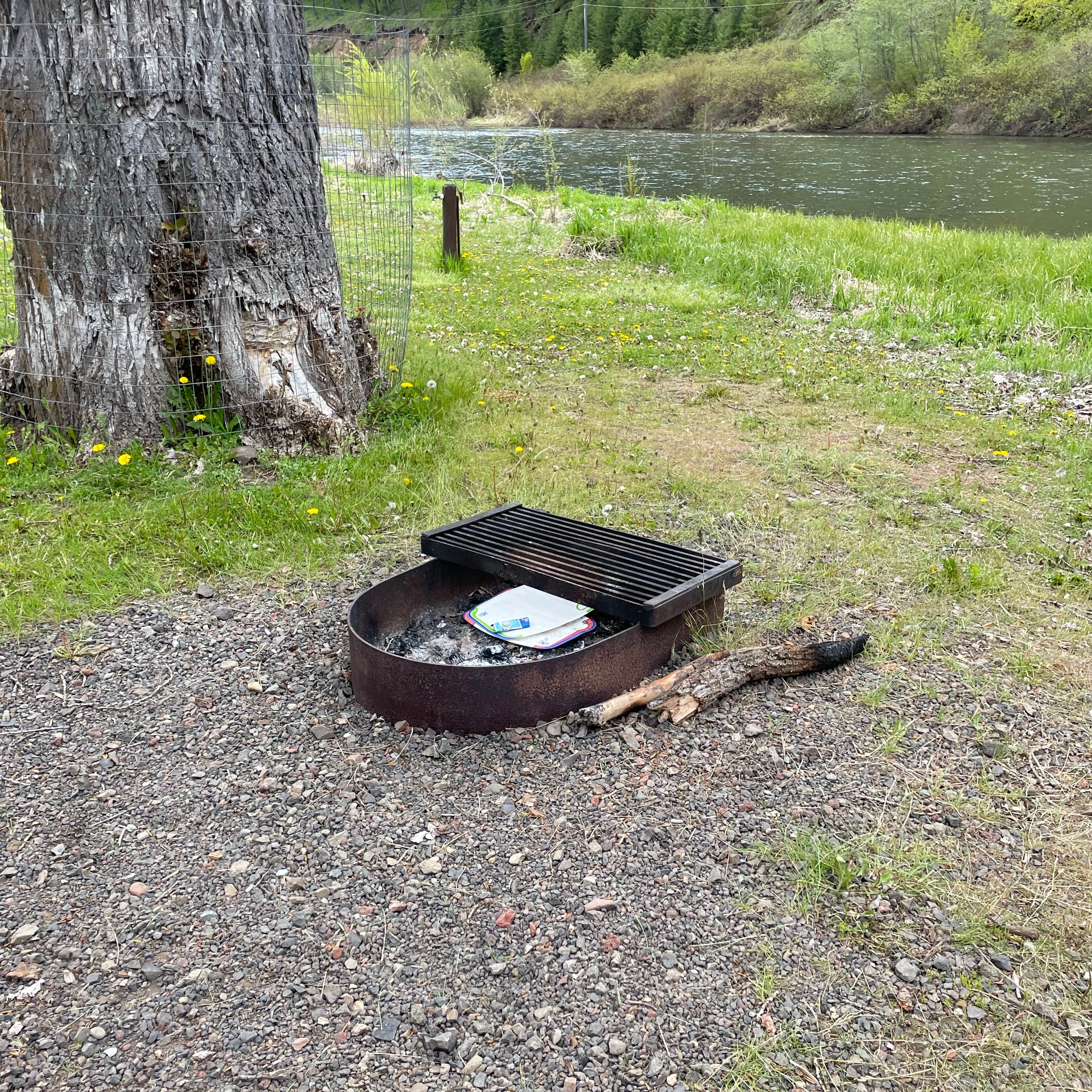 Hilgard Junction State Park Campground | La Grande, Oregon