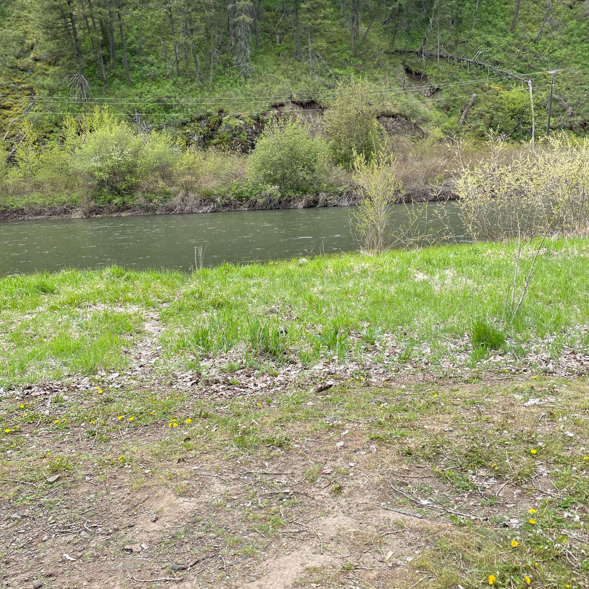 Hilgard Junction State Park Campground | La Grande, Oregon