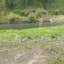 Hilgard Junction State Park Campground | La Grande, Oregon