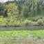 Hilgard Junction State Park Campground | La Grande, Oregon