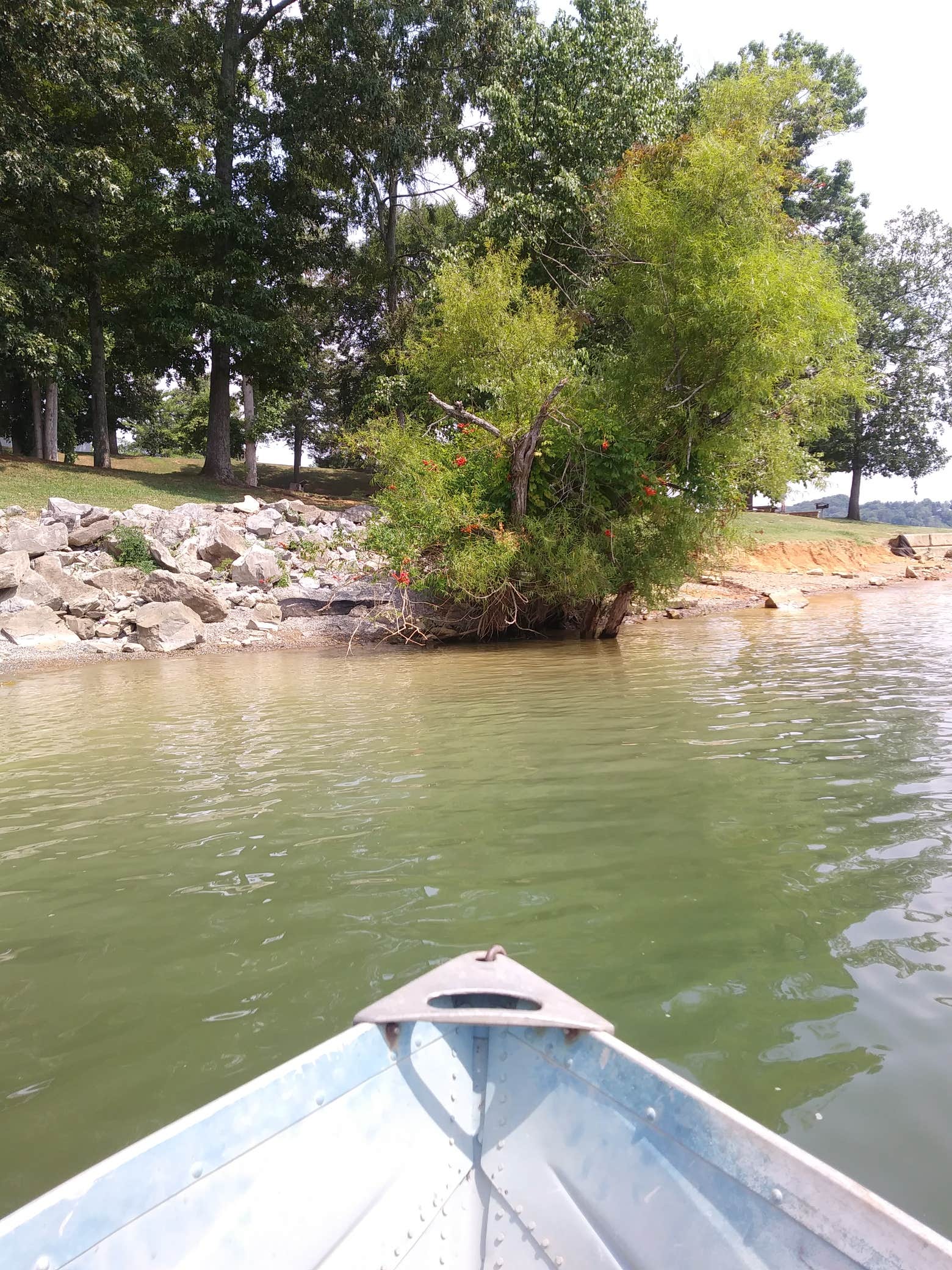 Douglas Dam Headwater Campground — Tennessee Valley Authority (TVA ...