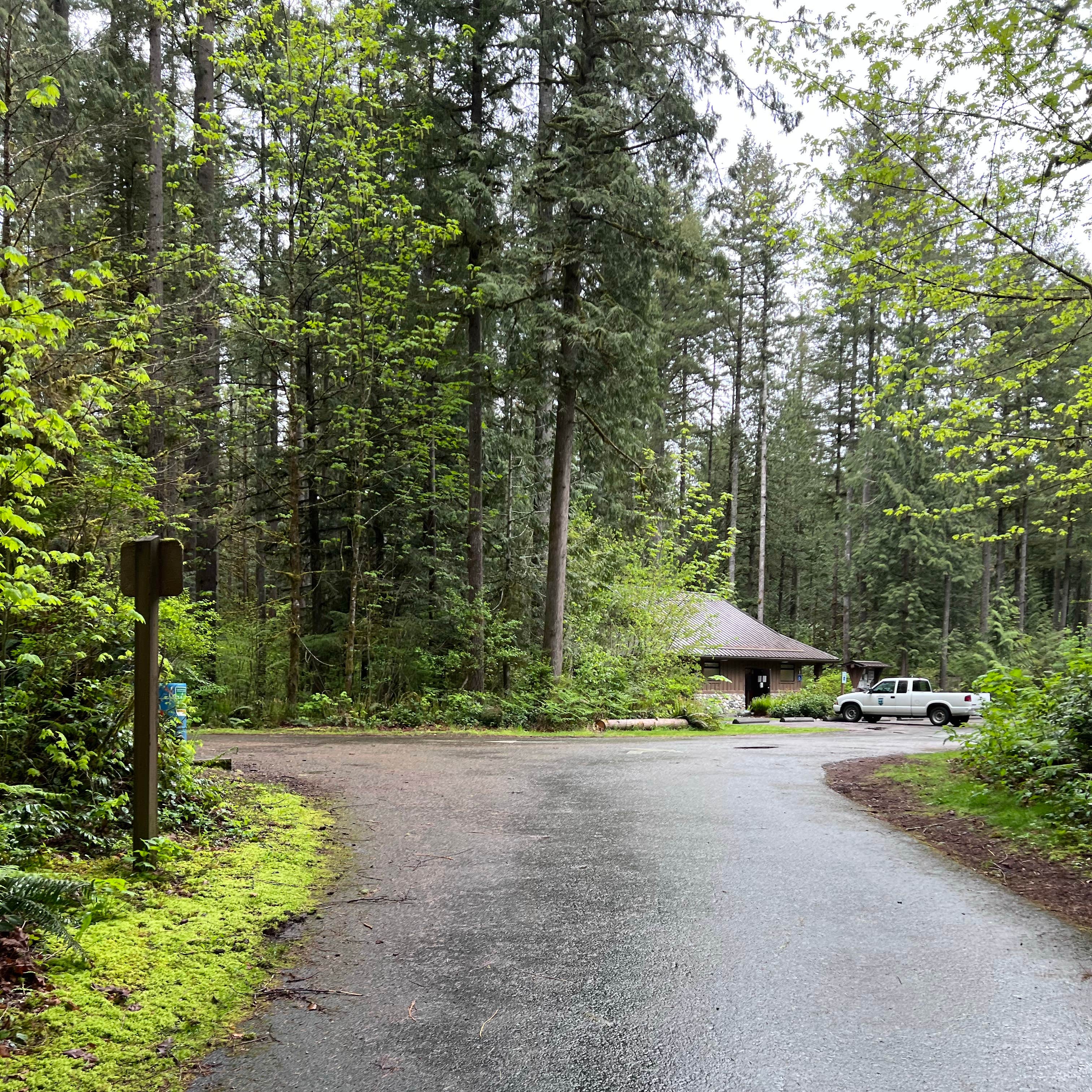 Rasar State Park Campground | Hamilton, Washington