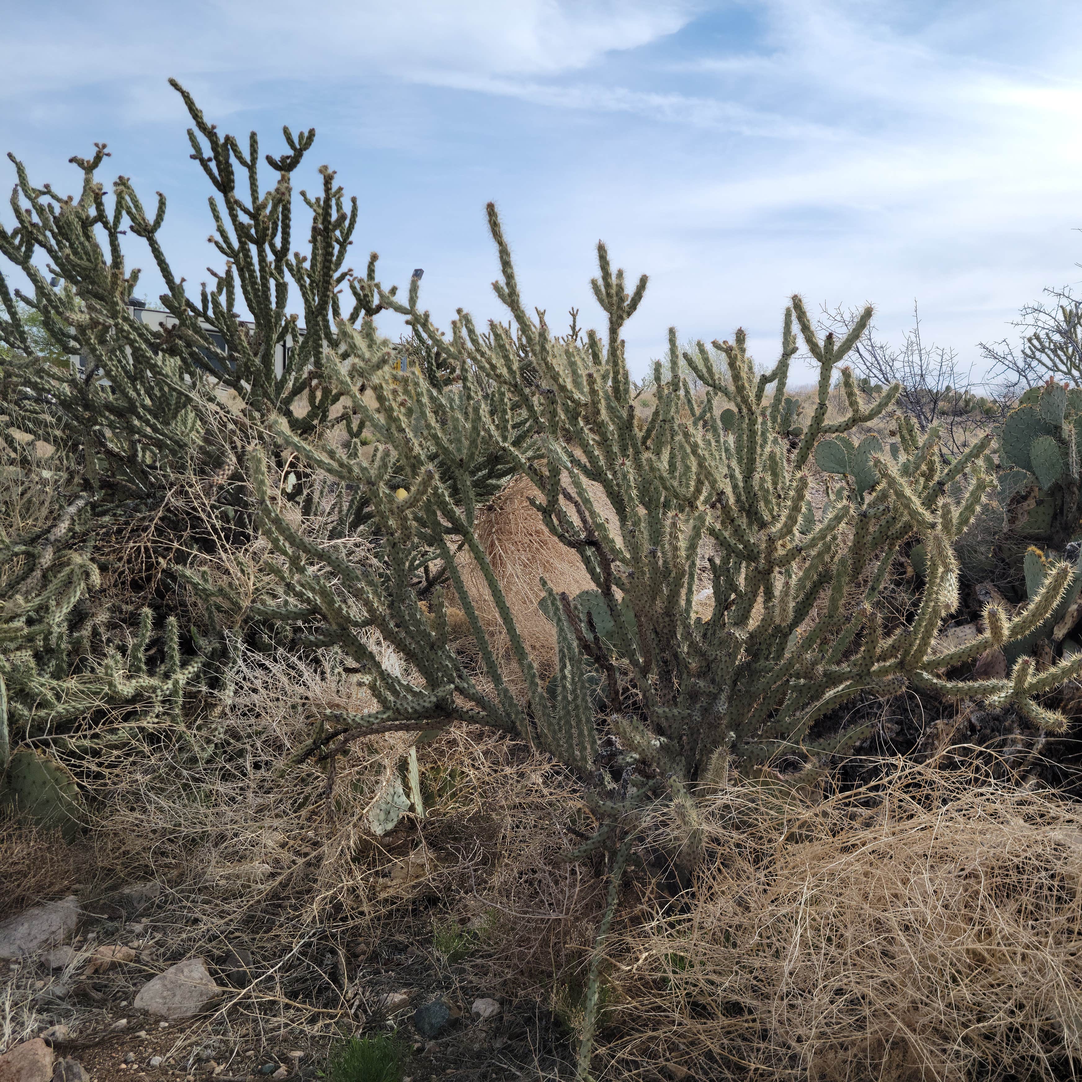 Blake Ranch RV Park | Kingman, Arizona