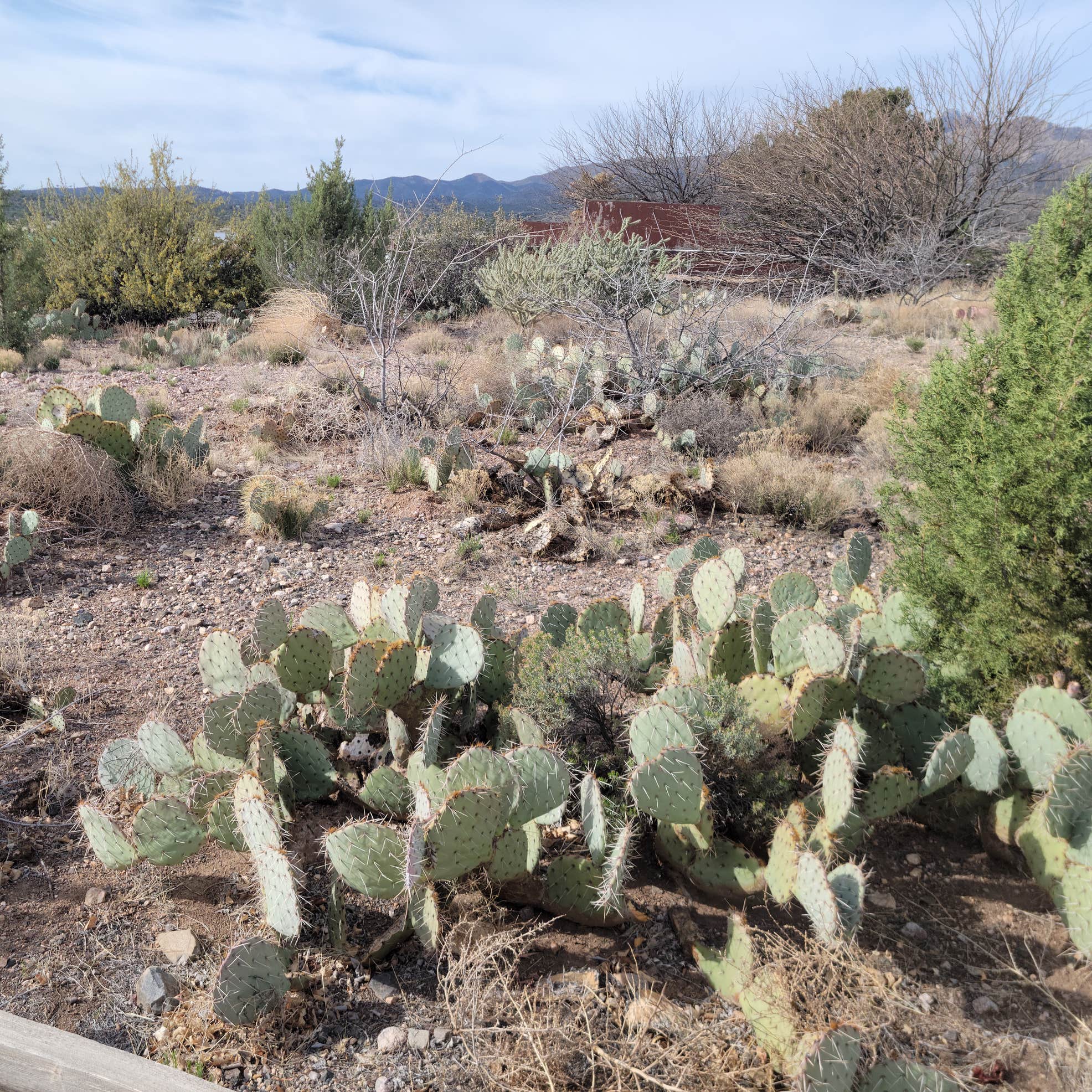 Blake Ranch RV Park Camping | The Dyrt