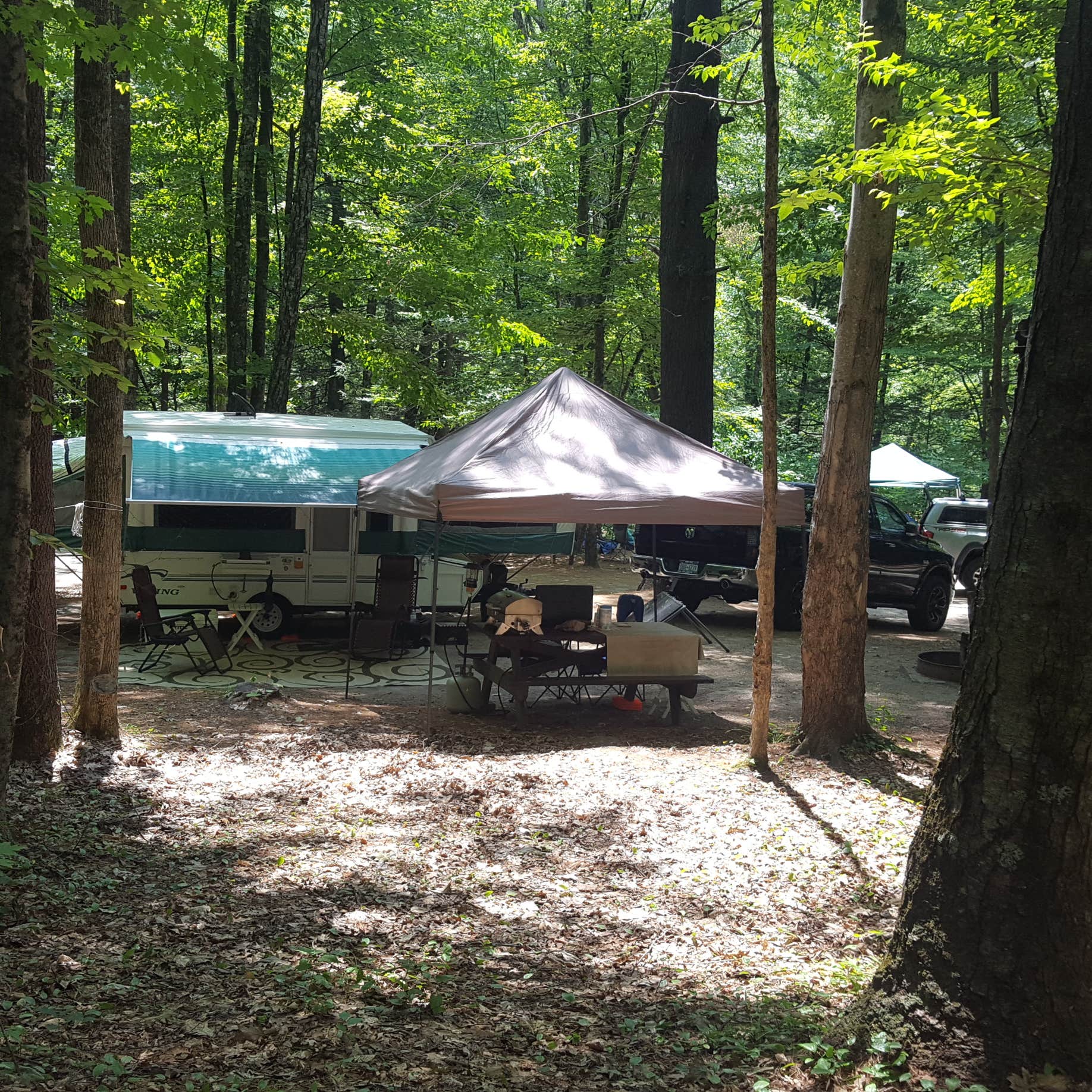 Mohawk Trail State Forest Camping | The Dyrt