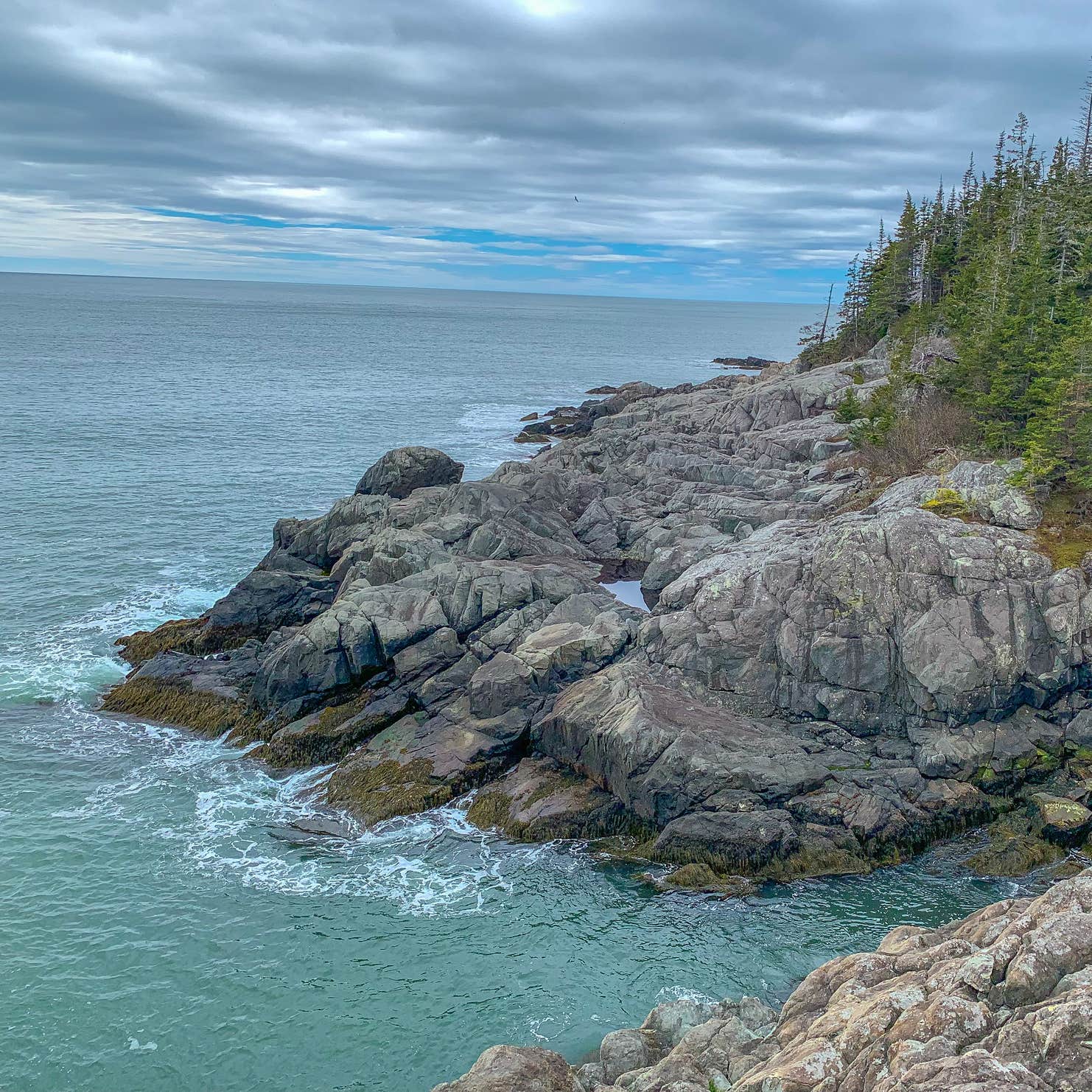 Cutler Coast Public Land — Cutler Coast Ecological Reserve Camping ...