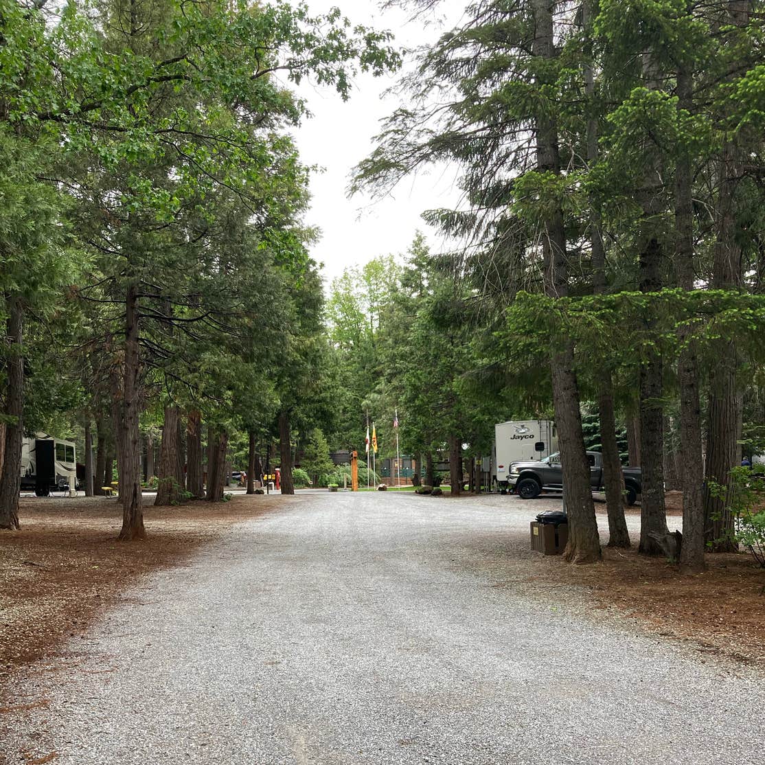 Mt Lassen Shingletown Koa Camping Shingletown California