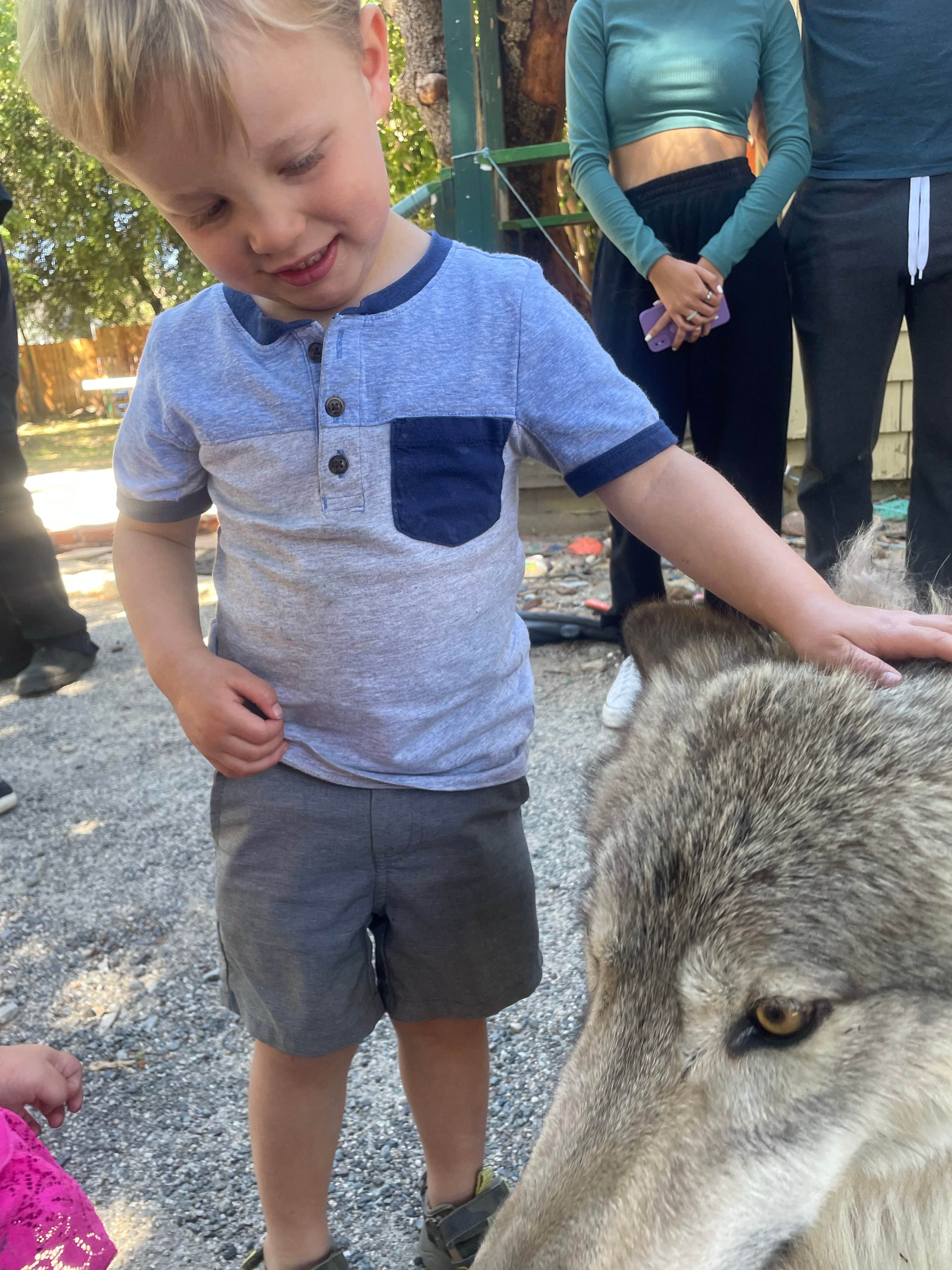 KQ Ranch Resort Camping | Julian, California