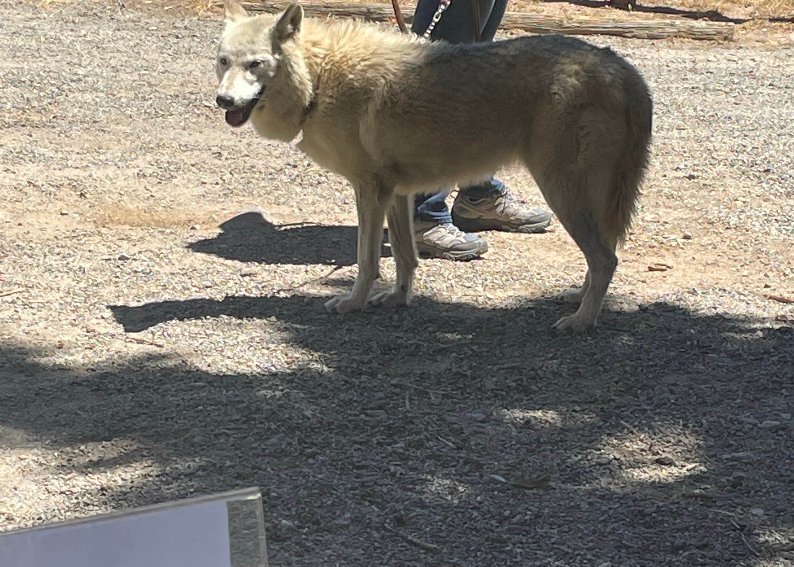 KQ Ranch Resort Camping | The Dyrt