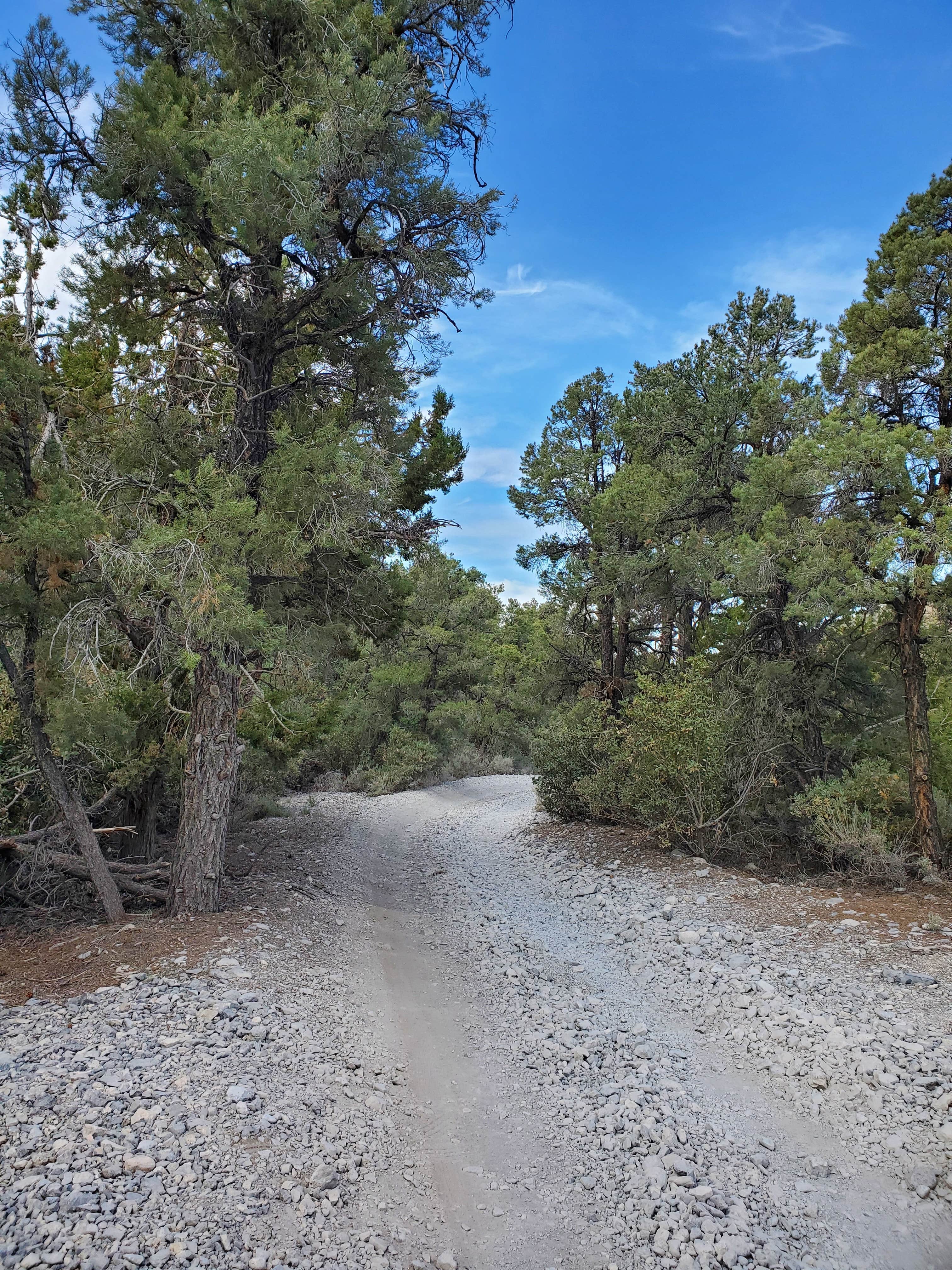 Carpenter Canyon Camping | Mount Charleston, NV