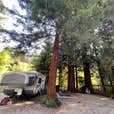 Smithwoods RV Park | Felton, California