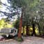 Smithwoods RV Park | Felton, California